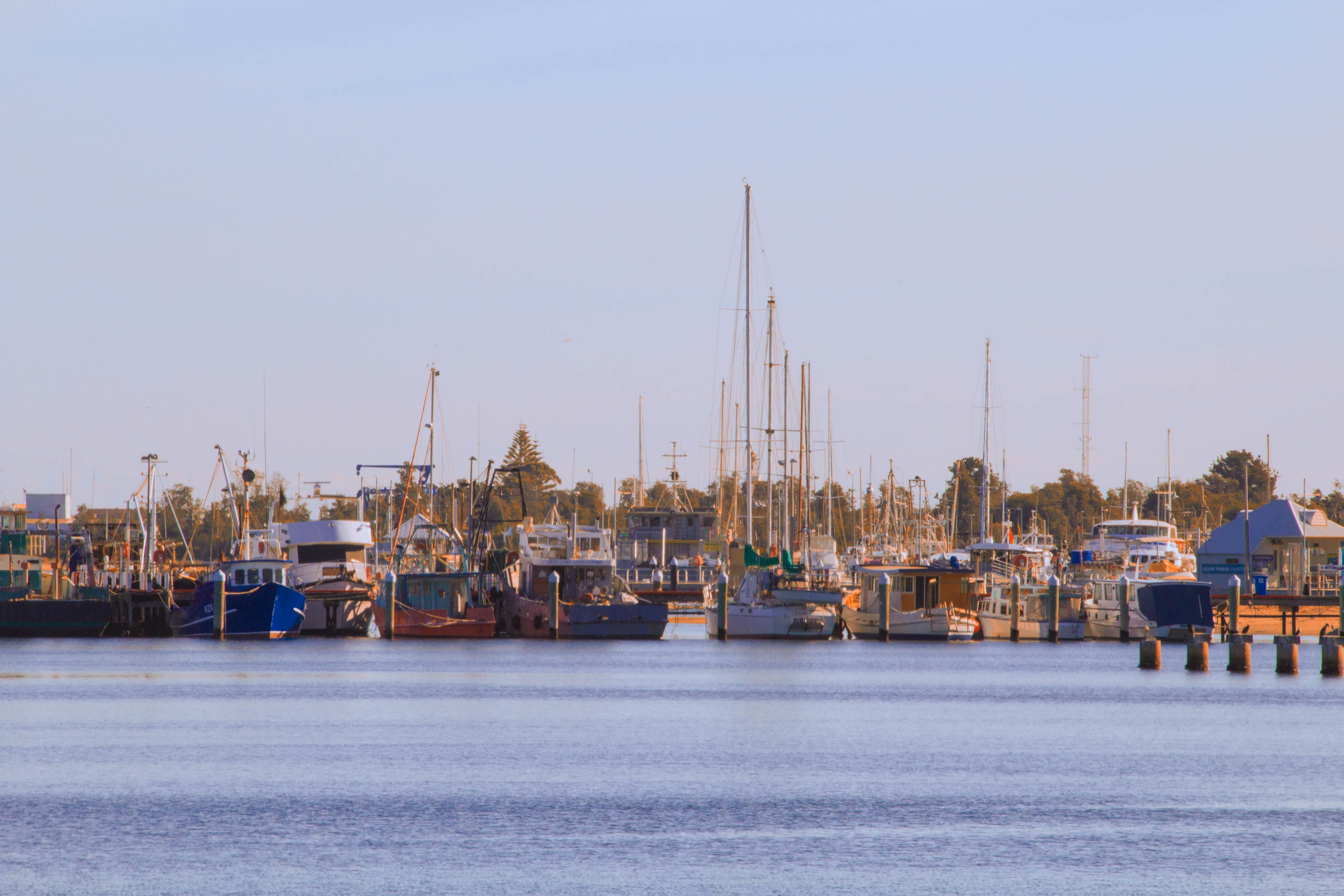 Boats Ocean Dock free image download