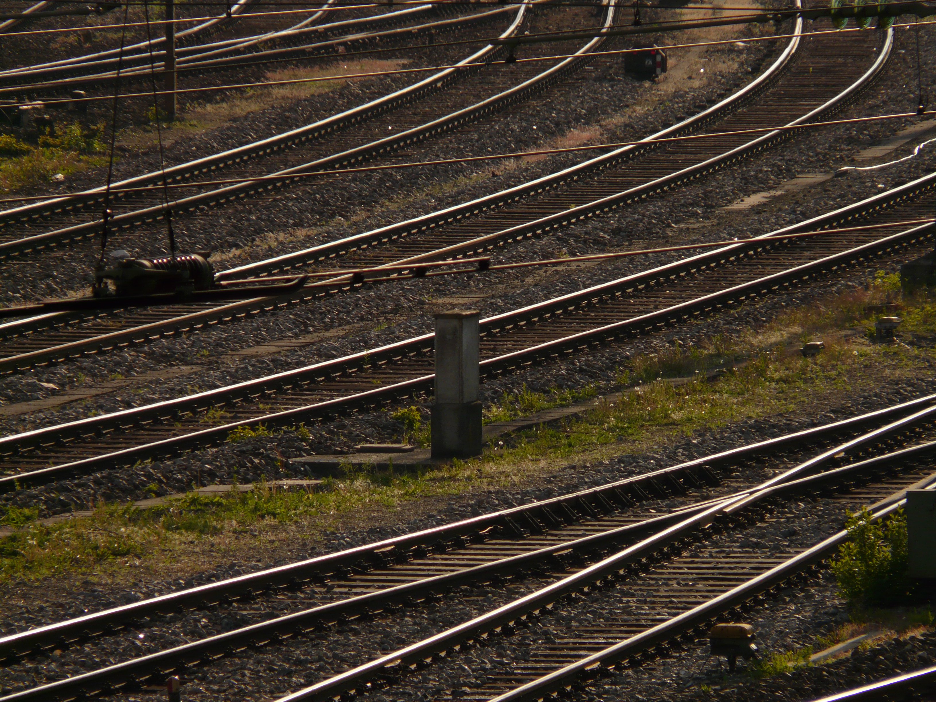 Rails Gleise Train free image download