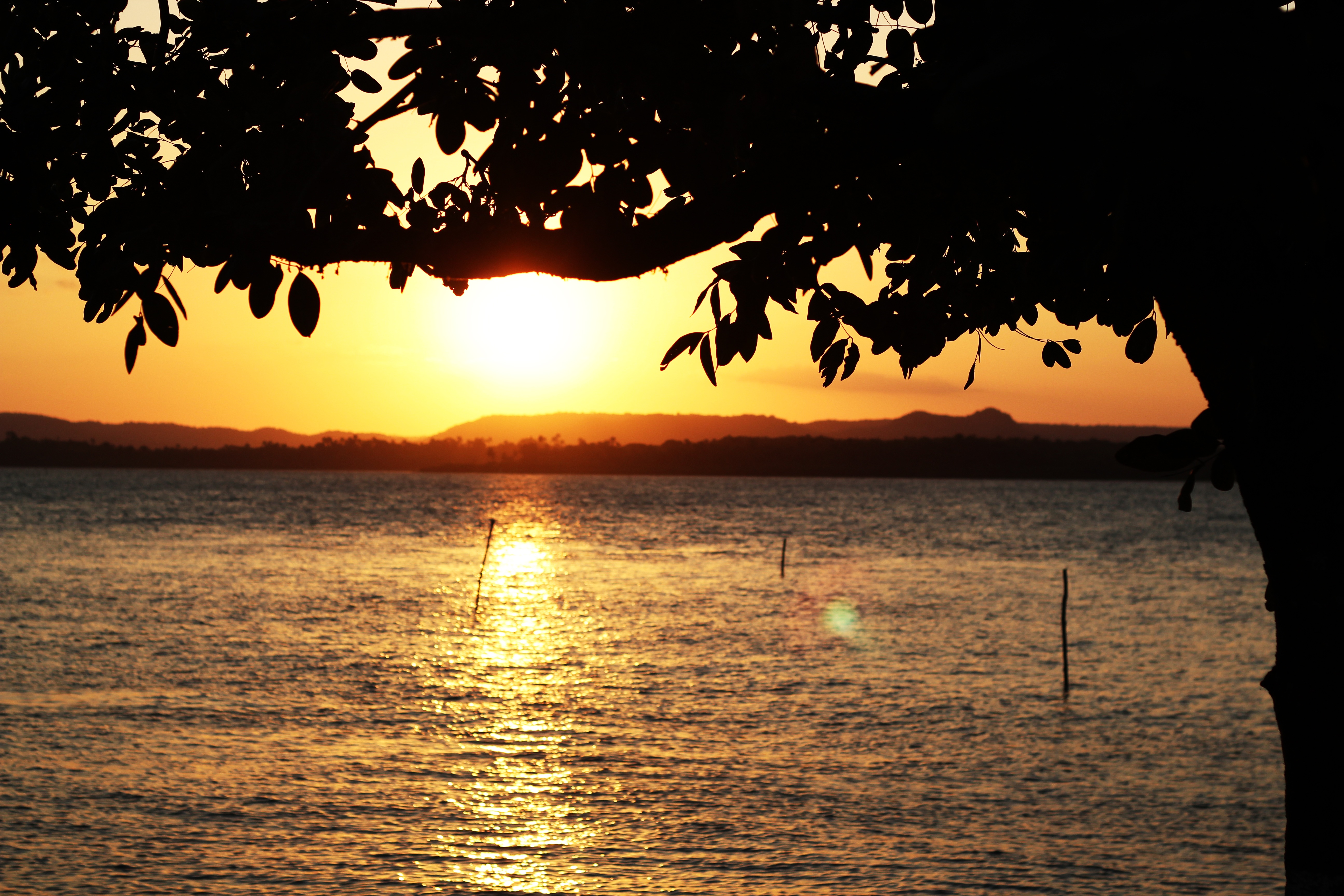 Sunset Afternoon free image download