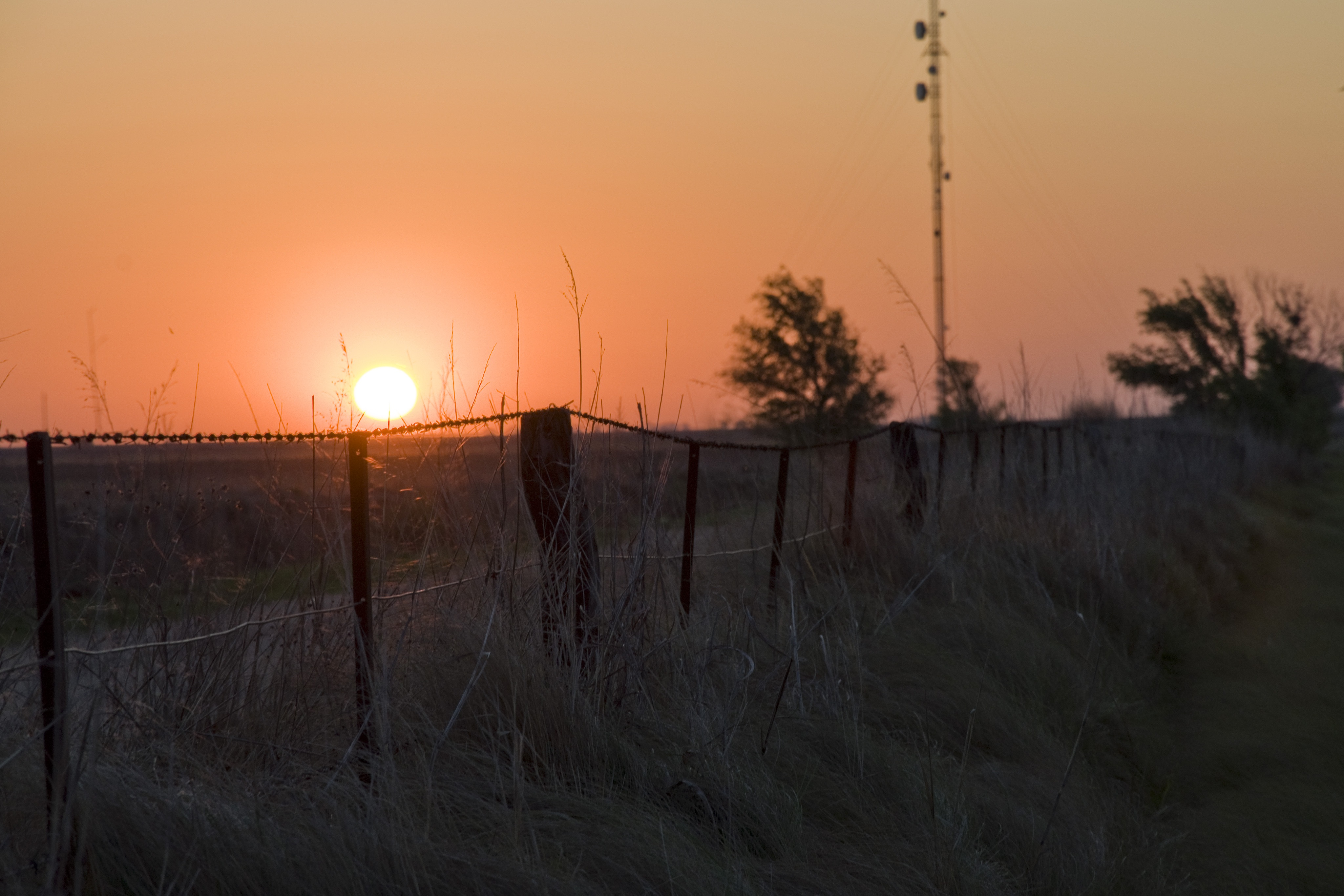 Sunset Field free image download