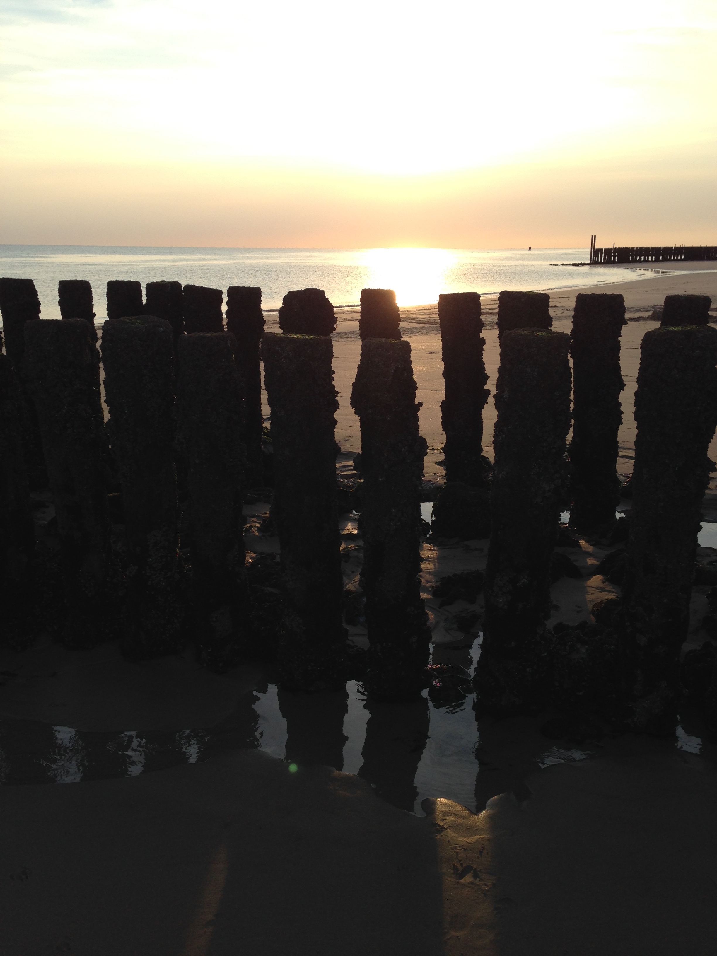 Beach Sun Sunset free image download