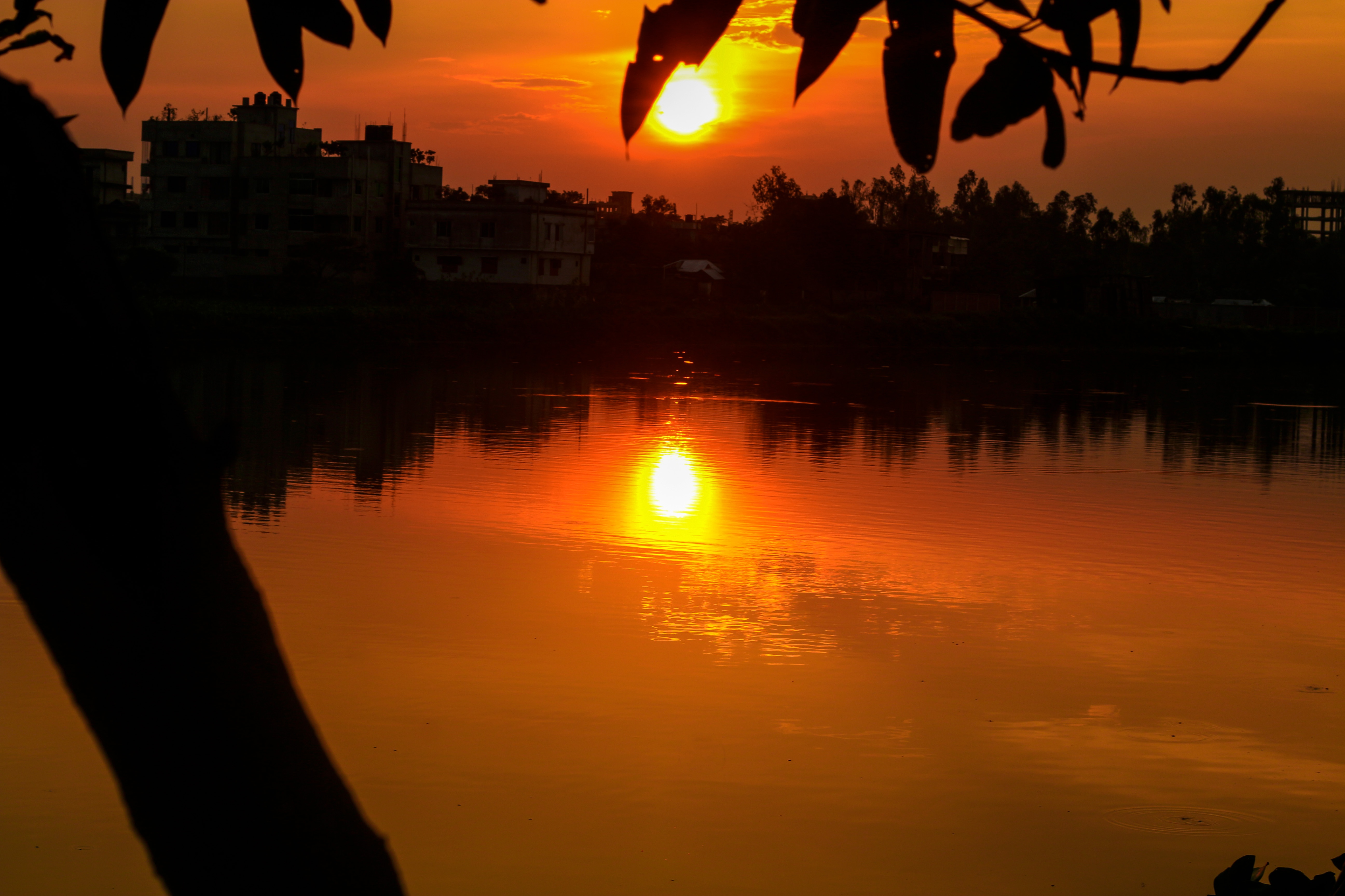 Sunset Evening Nature free image download