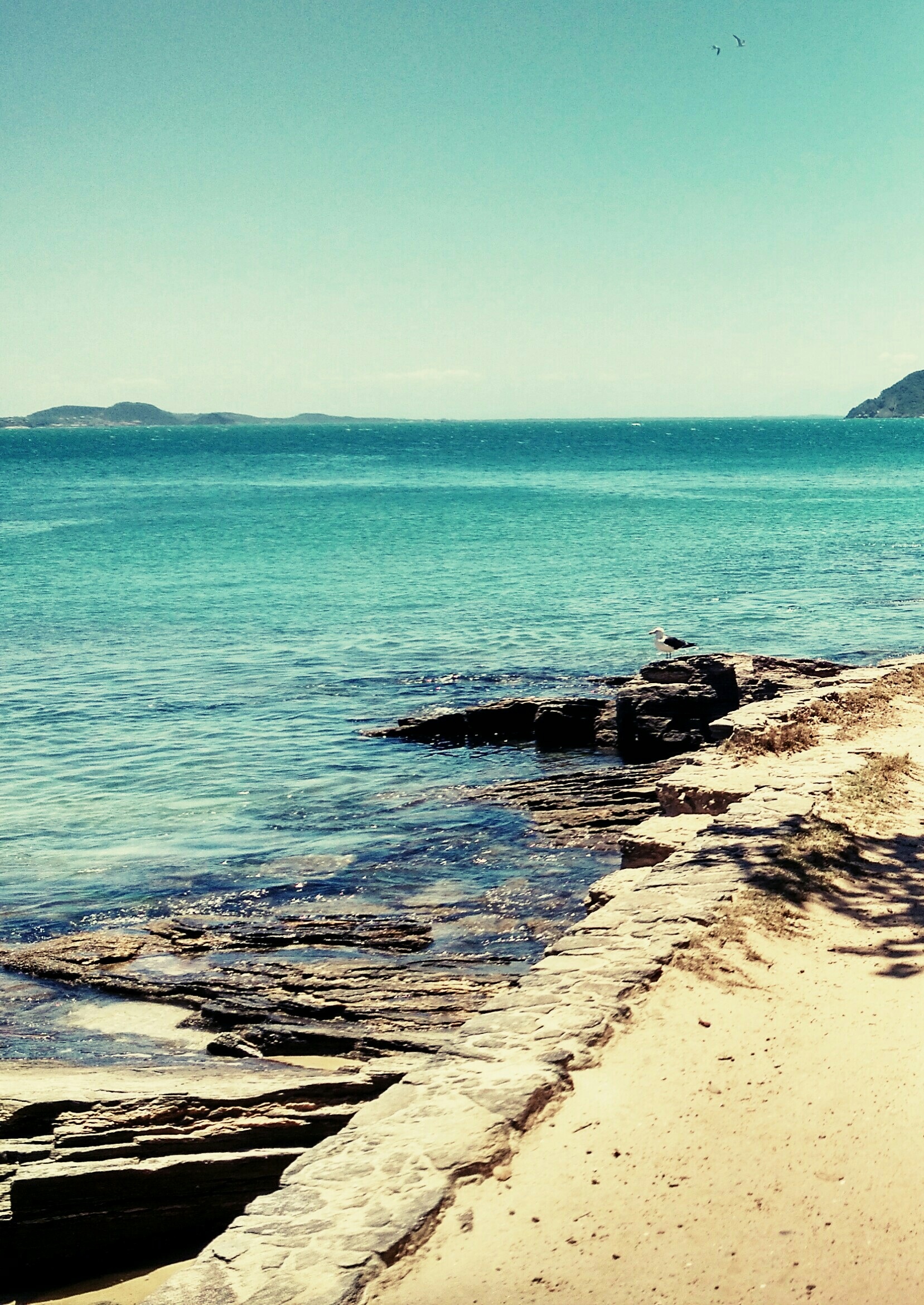 Beach Stone mar free image download