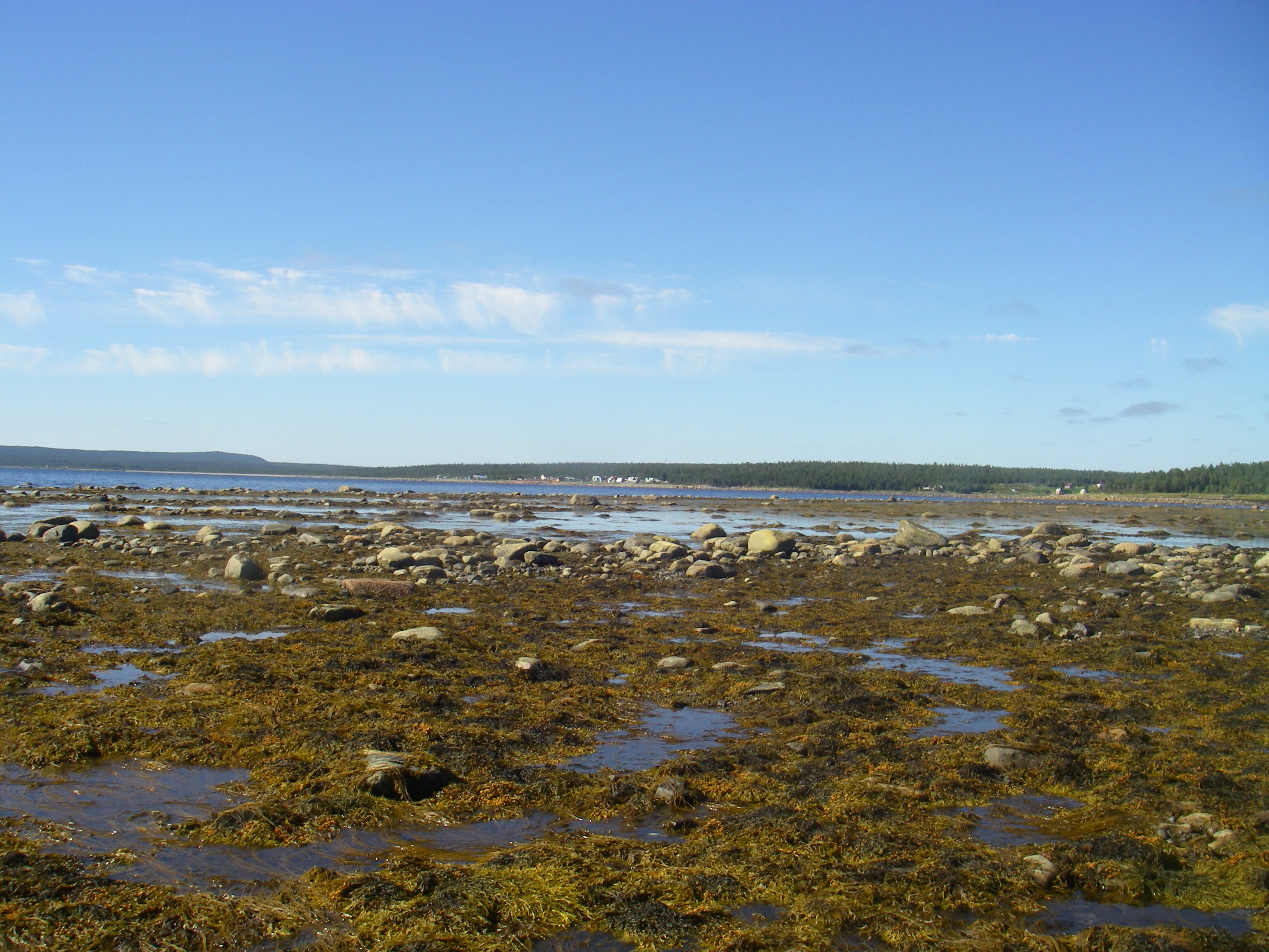 Dahl White Sea Blue Sky free image download