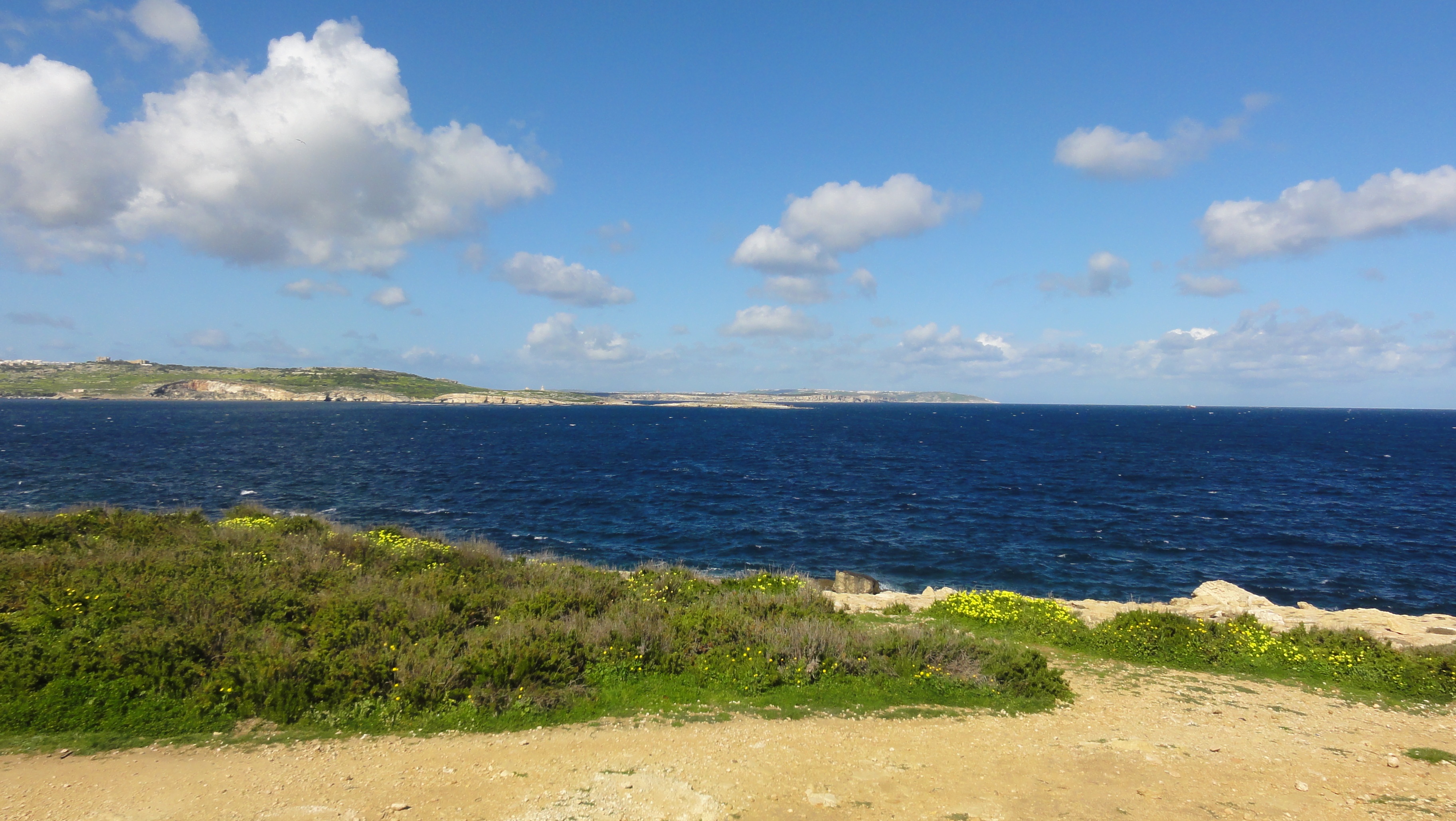 Sea Green free image download