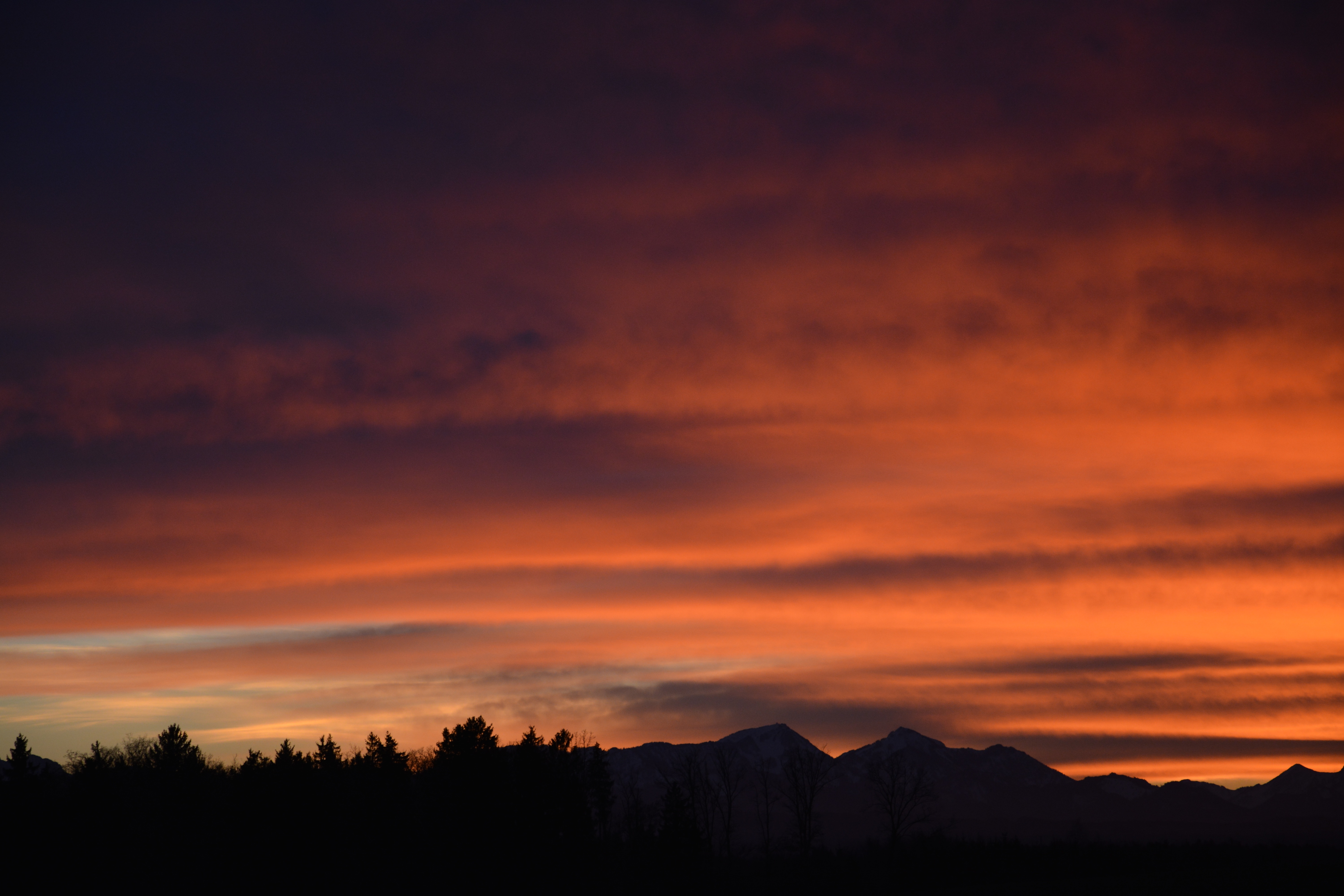 Evening Sun Sunset Dusk free image download