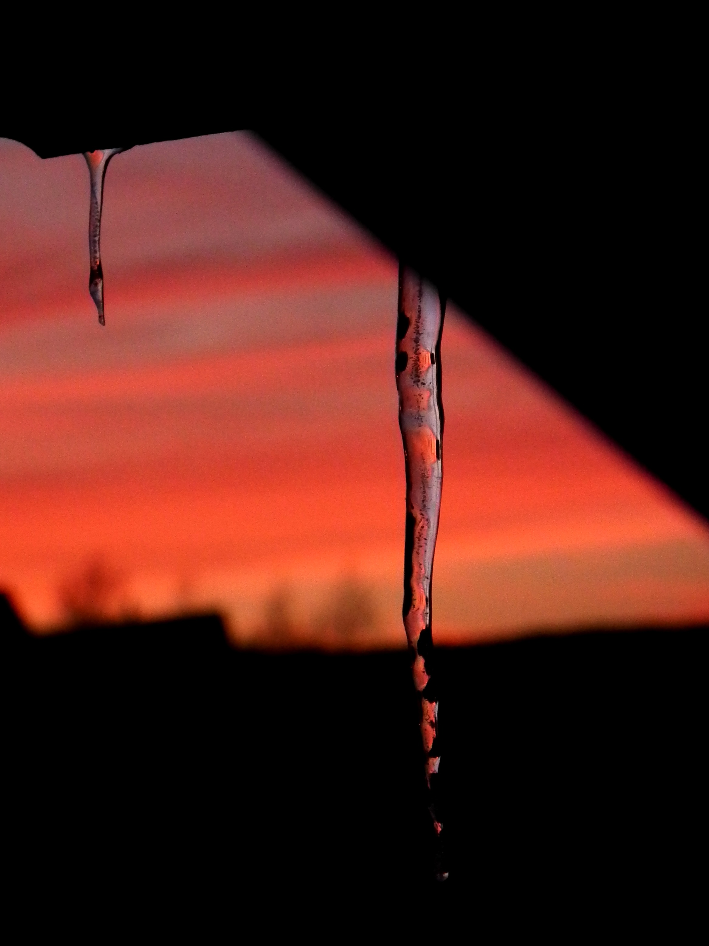 Ice Icicle Winter free image download