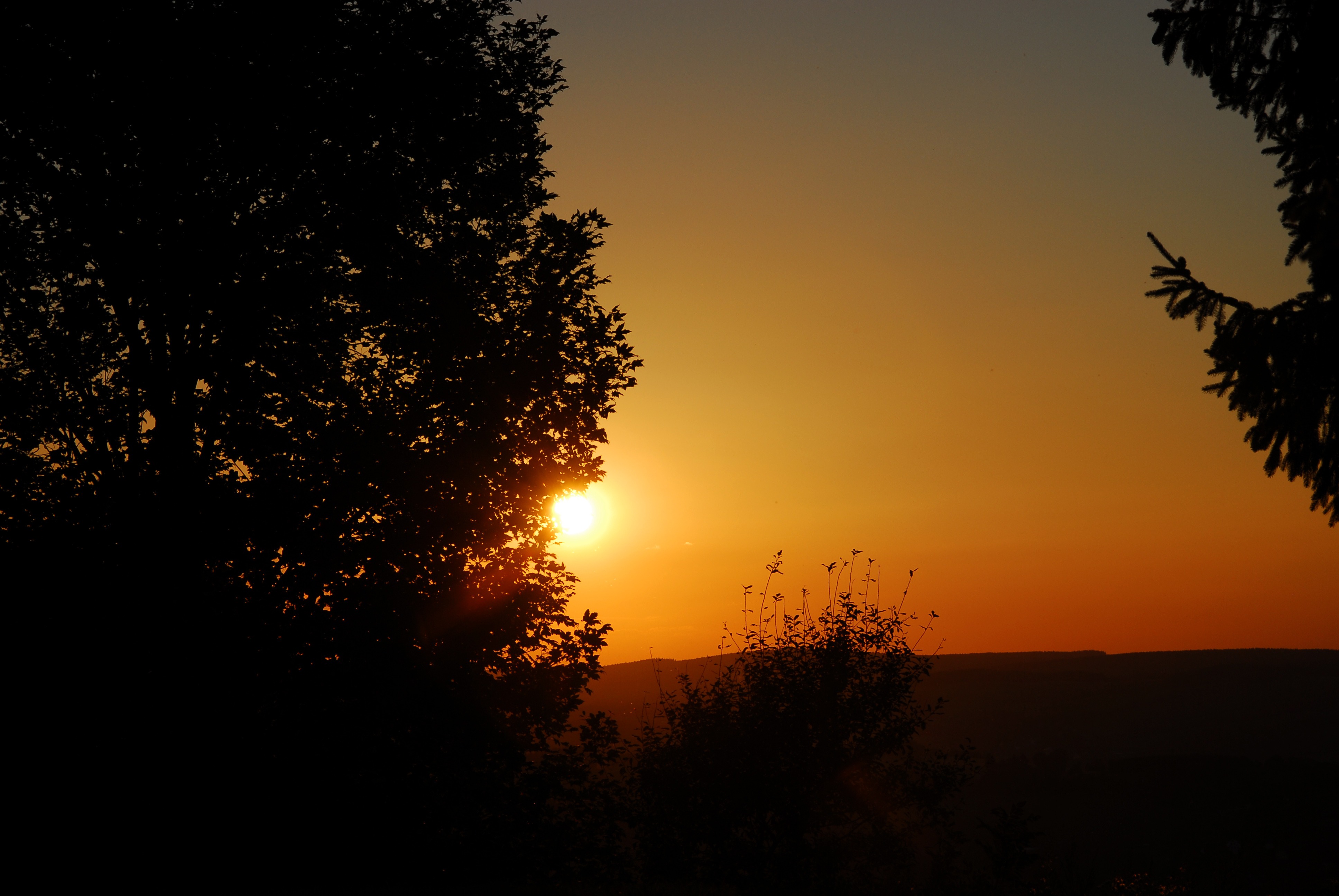 Sunset Evening Sun free image download