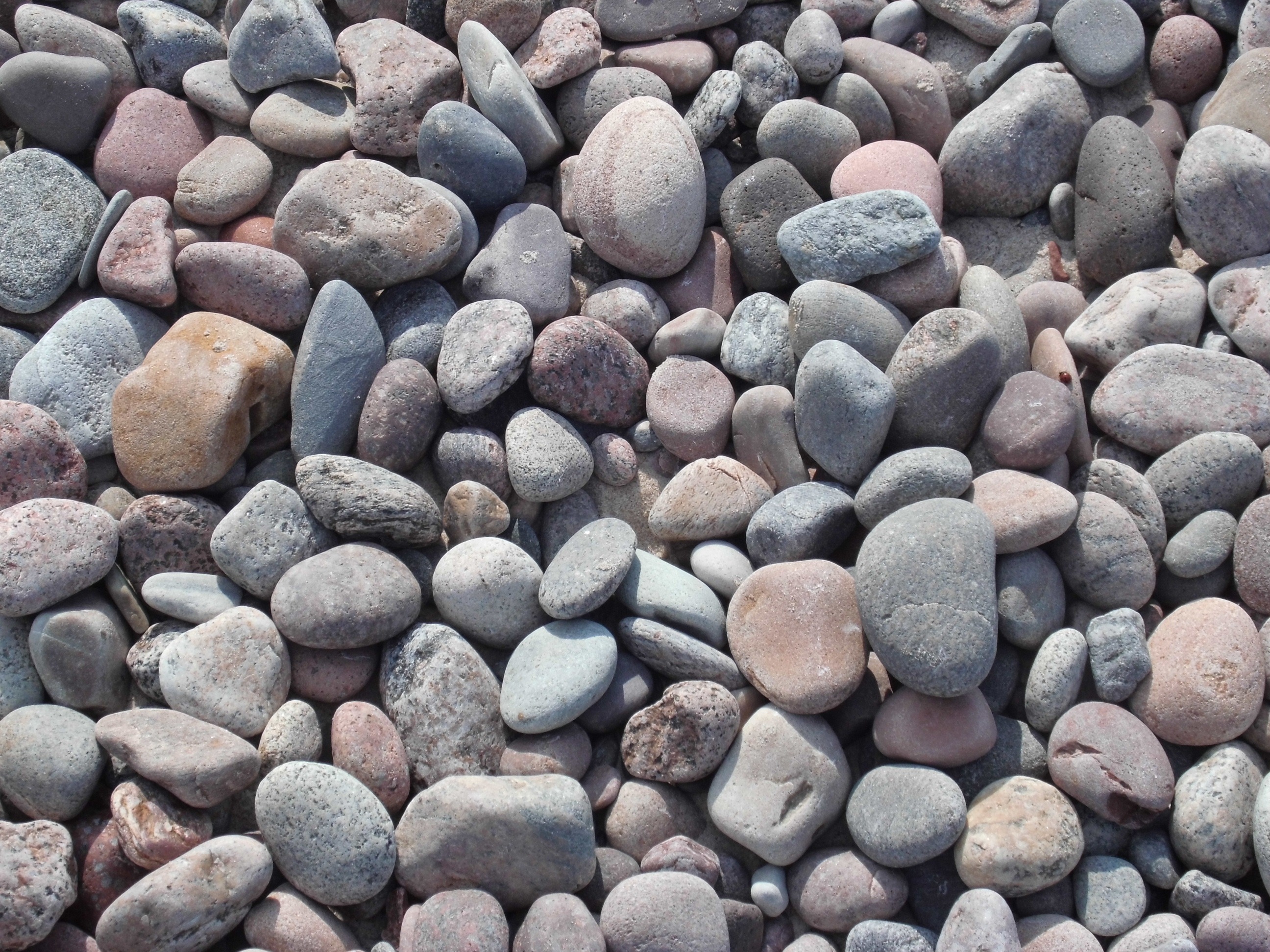Stones Pebble Pebbles free image download