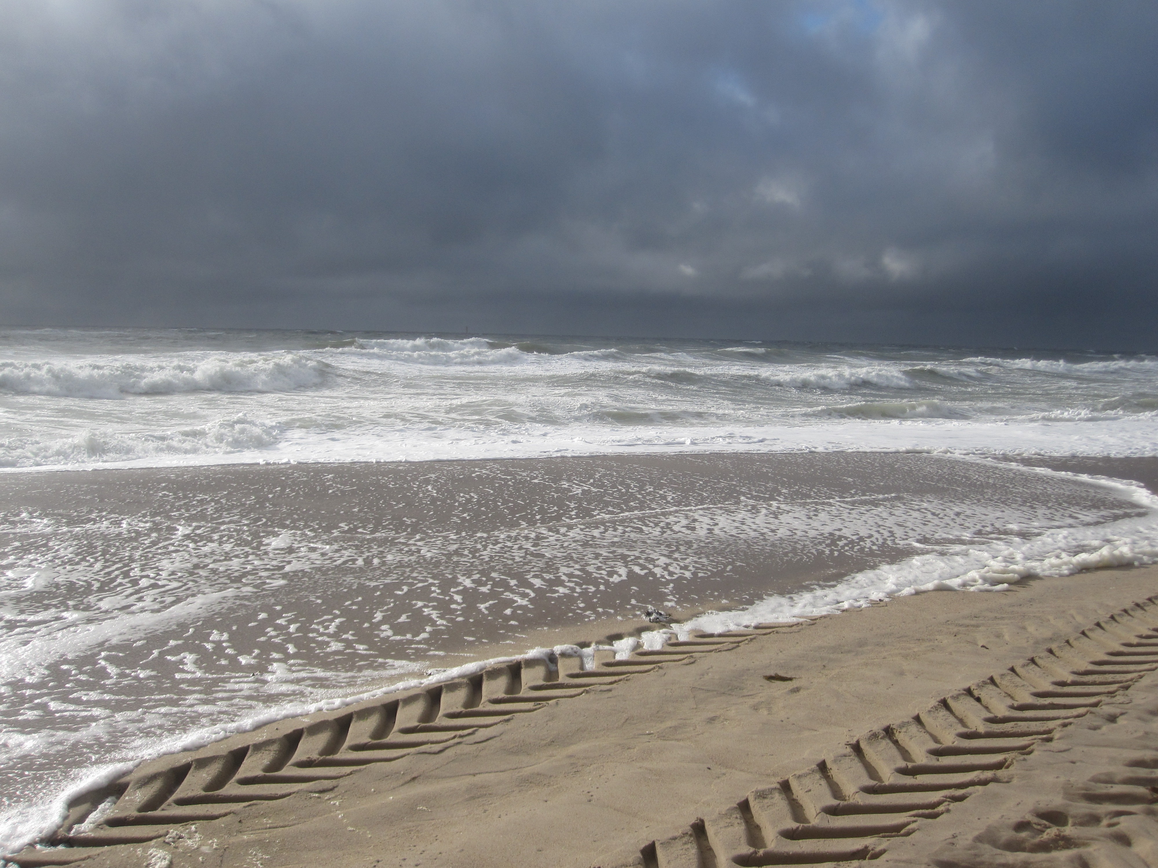 Beach Tire Tracks Sea free image download