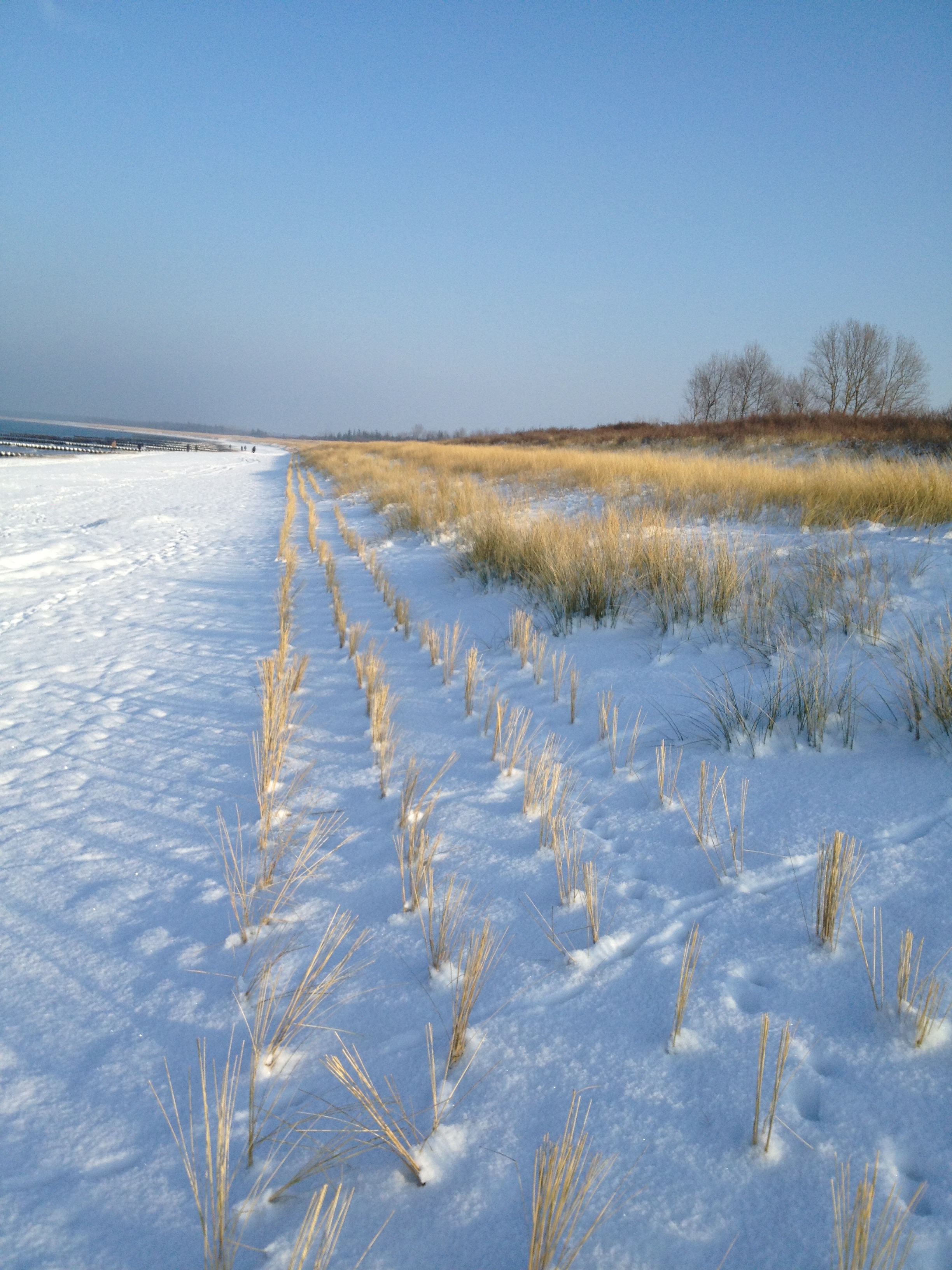 Coast Winter Snow Sea free image download