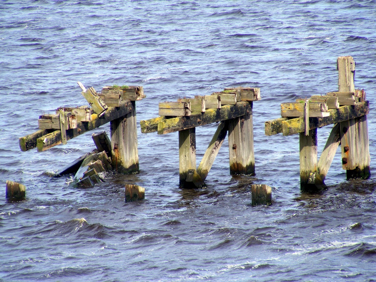 Ocean Sea Water free image download