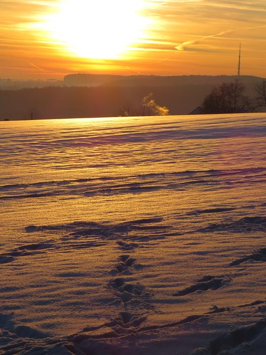 Sunset Snow Sparkle free image download