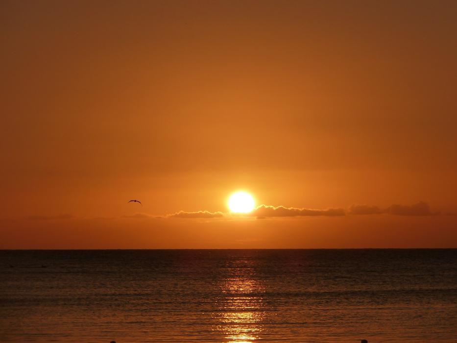 Sun Sunset Orange free image download