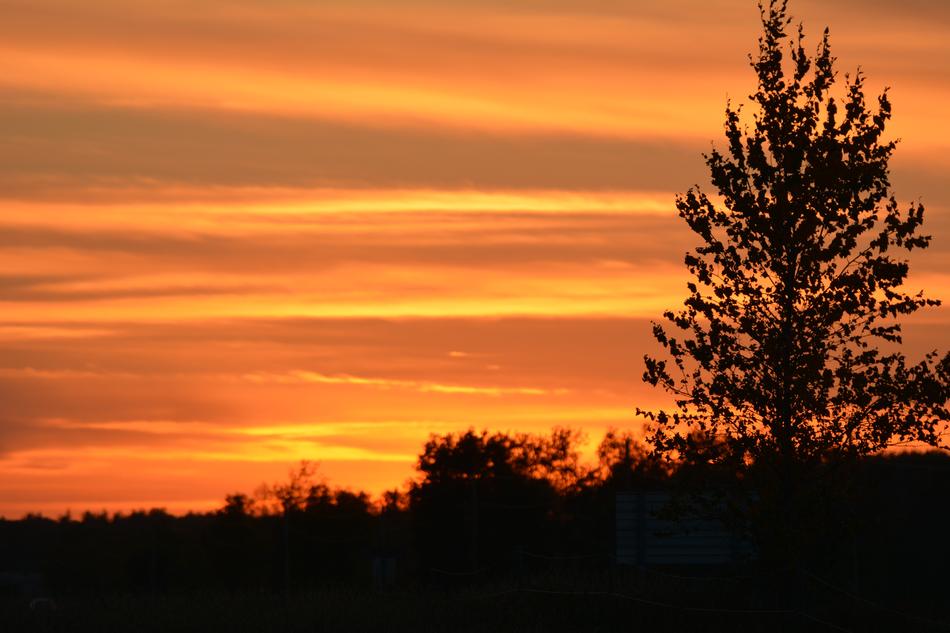 Sunset Sky Landscape Evening free image download
