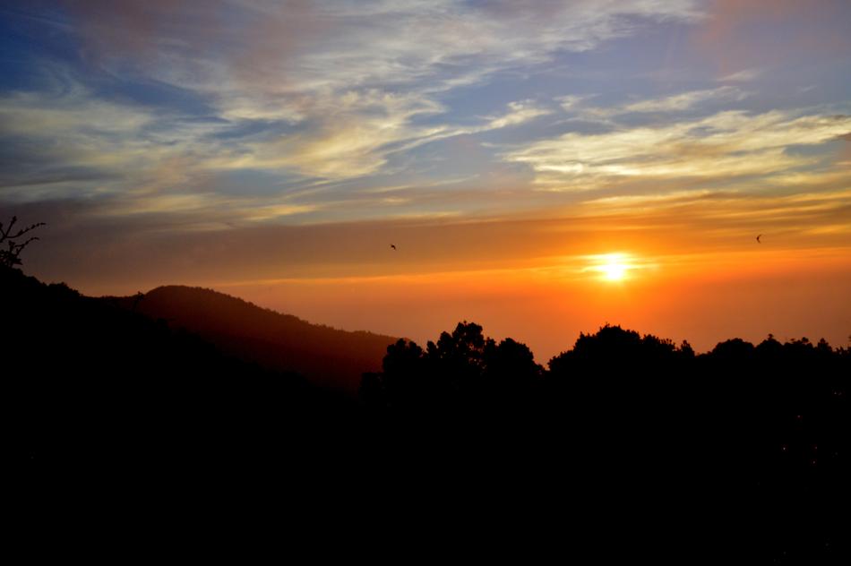 Sunset Golden Light free image download