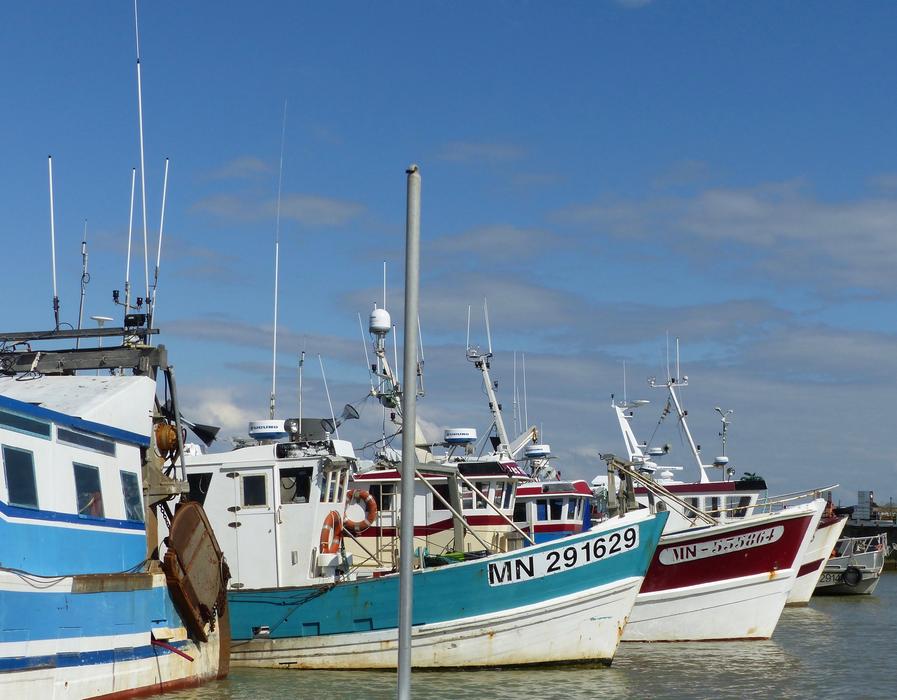 Port Fishing free image download