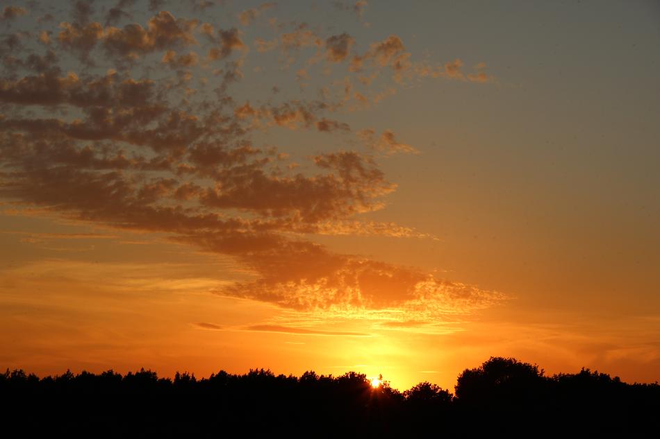 View Sunset Nature free image download