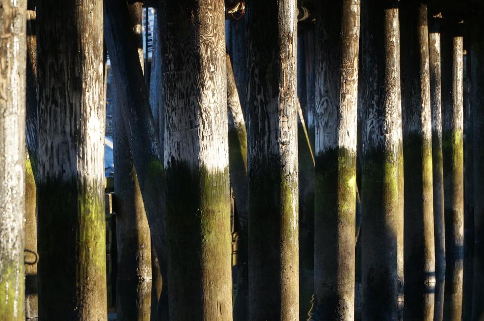 Pier Dock Harbor free image download