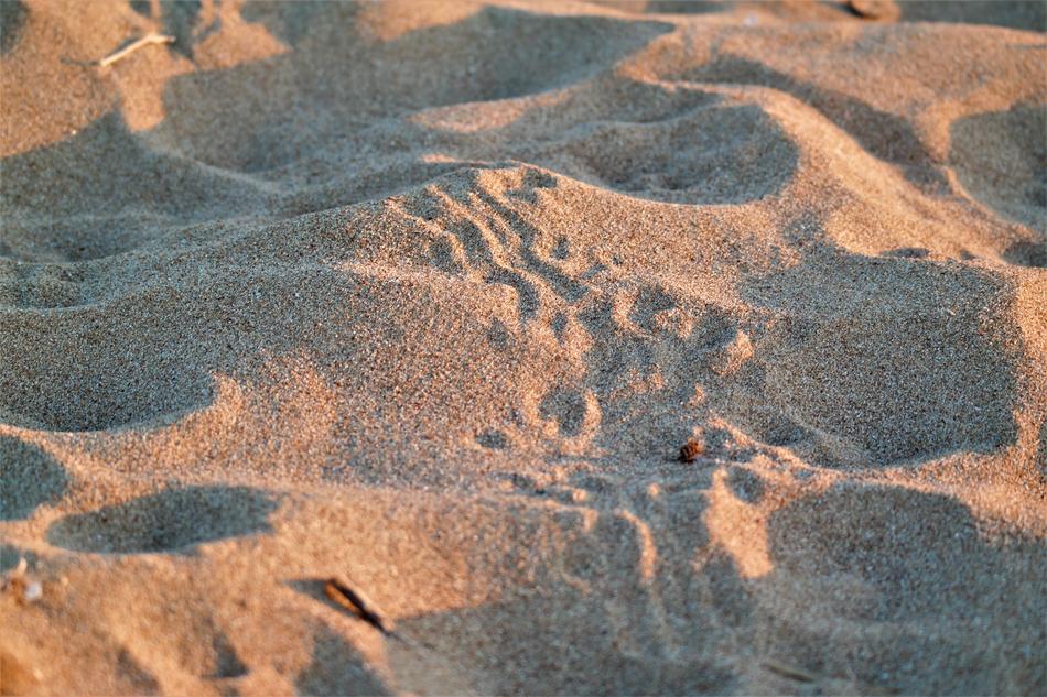 Trace Sand Beach free image download