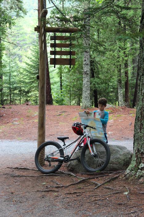 Biking Map Woods free image download