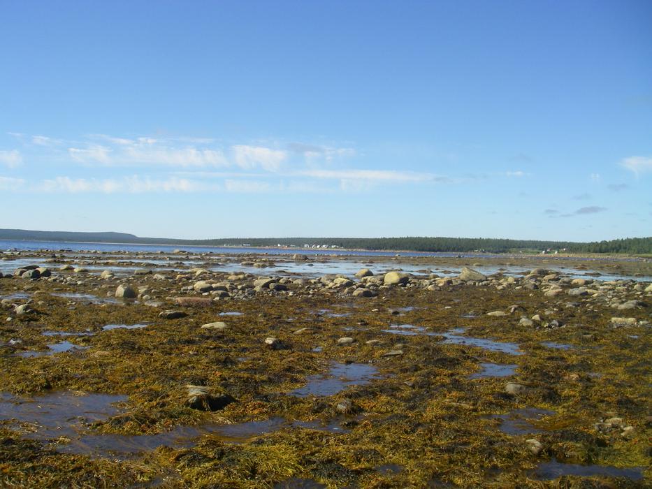 Dahl White Sea Blue Sky free image download