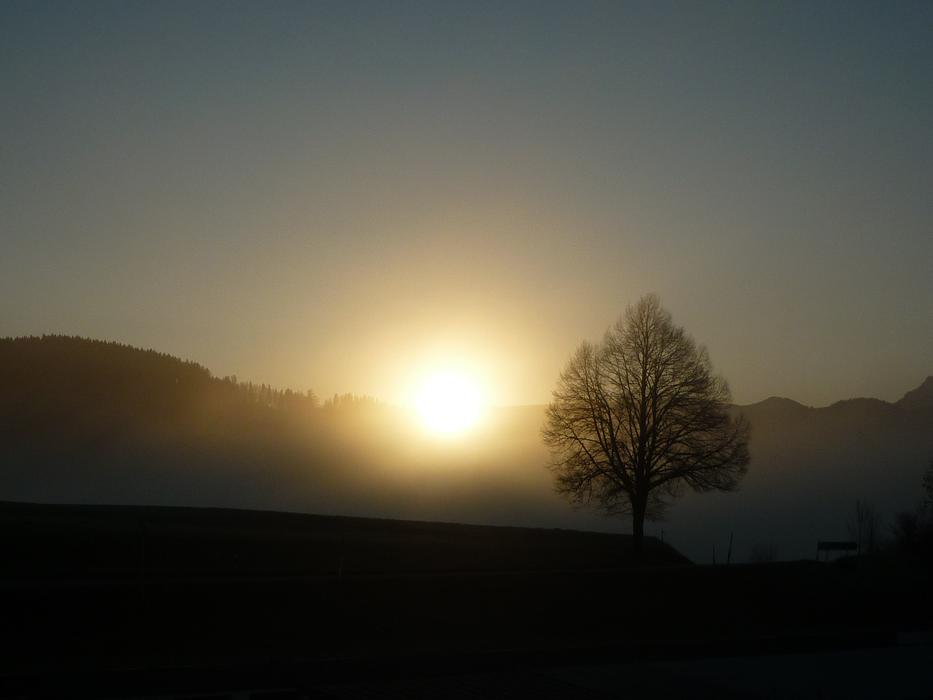 Sunlight Sunset Shadow free image download