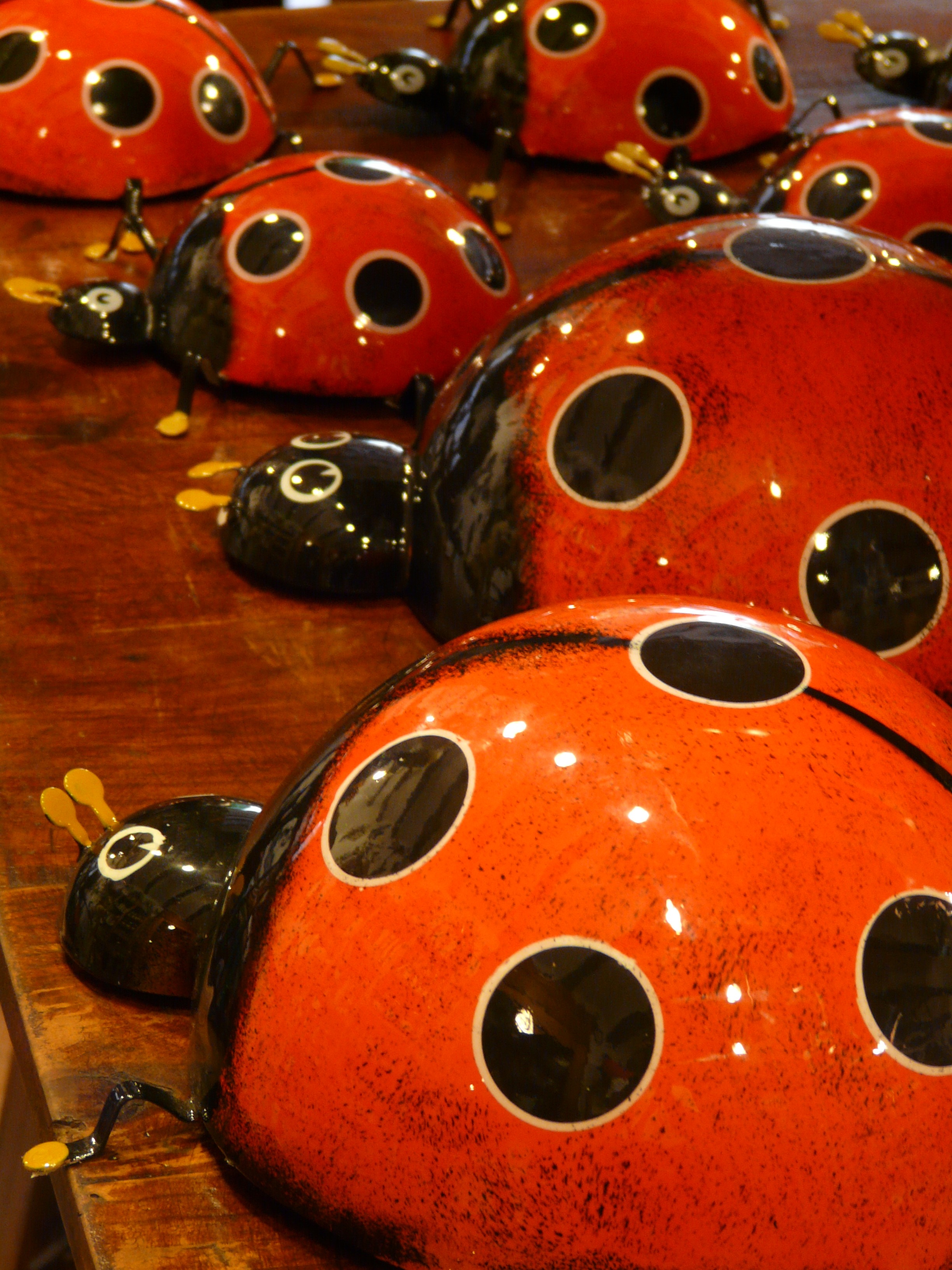 Ladybug Pottery free image download