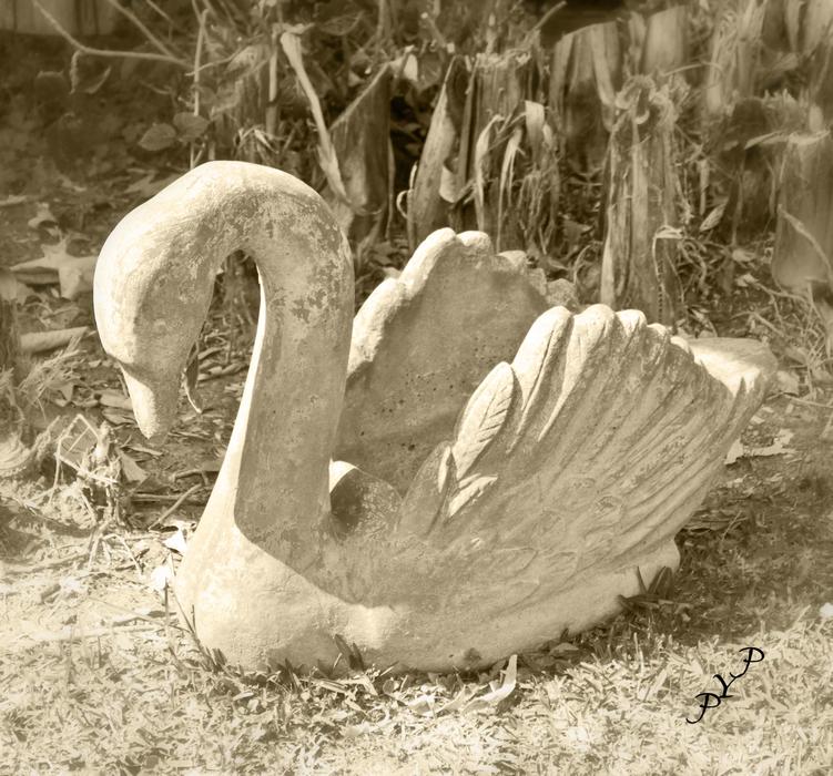 Swan Sculpture Stone free image download