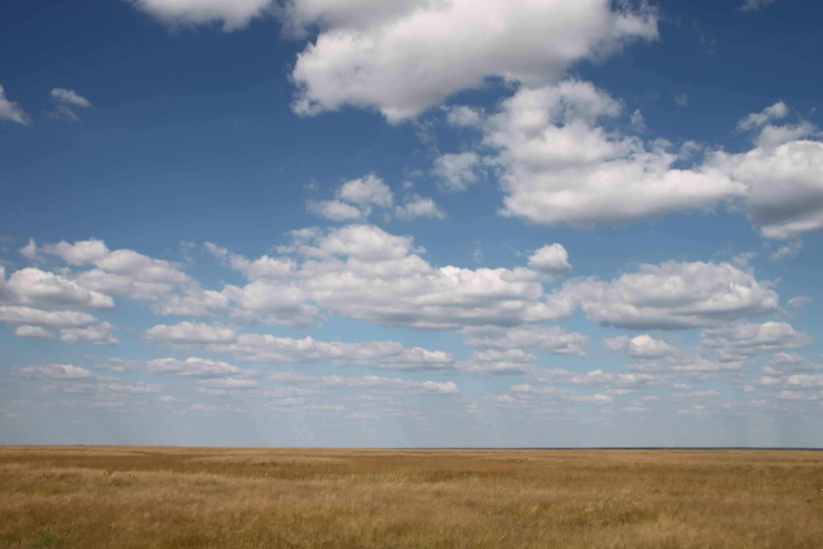 Horizon Field free image download