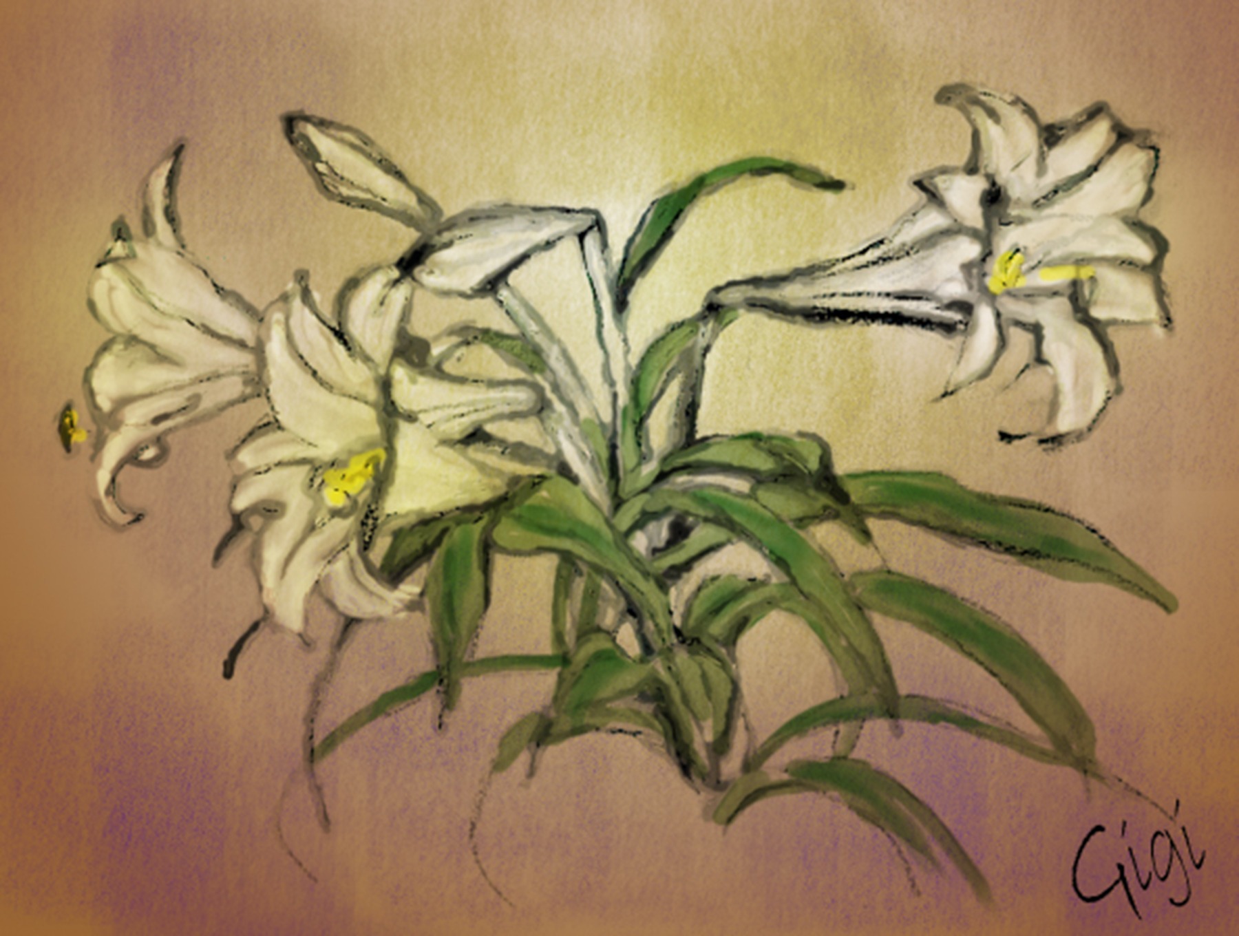 Drawing of Lilys Flowers free image download