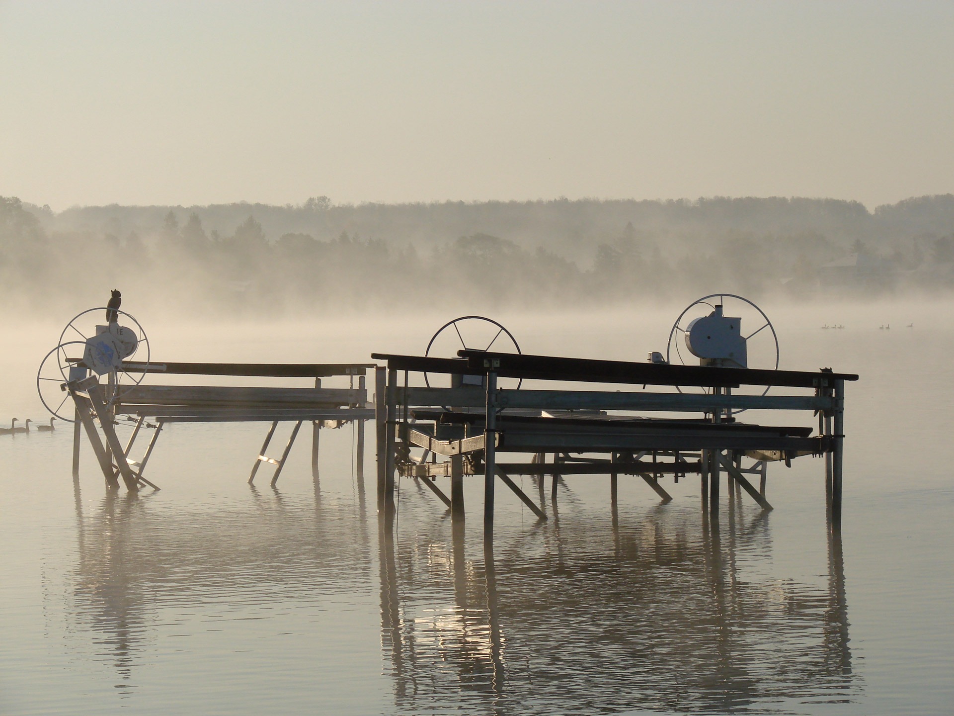 Fog over Dock free image download