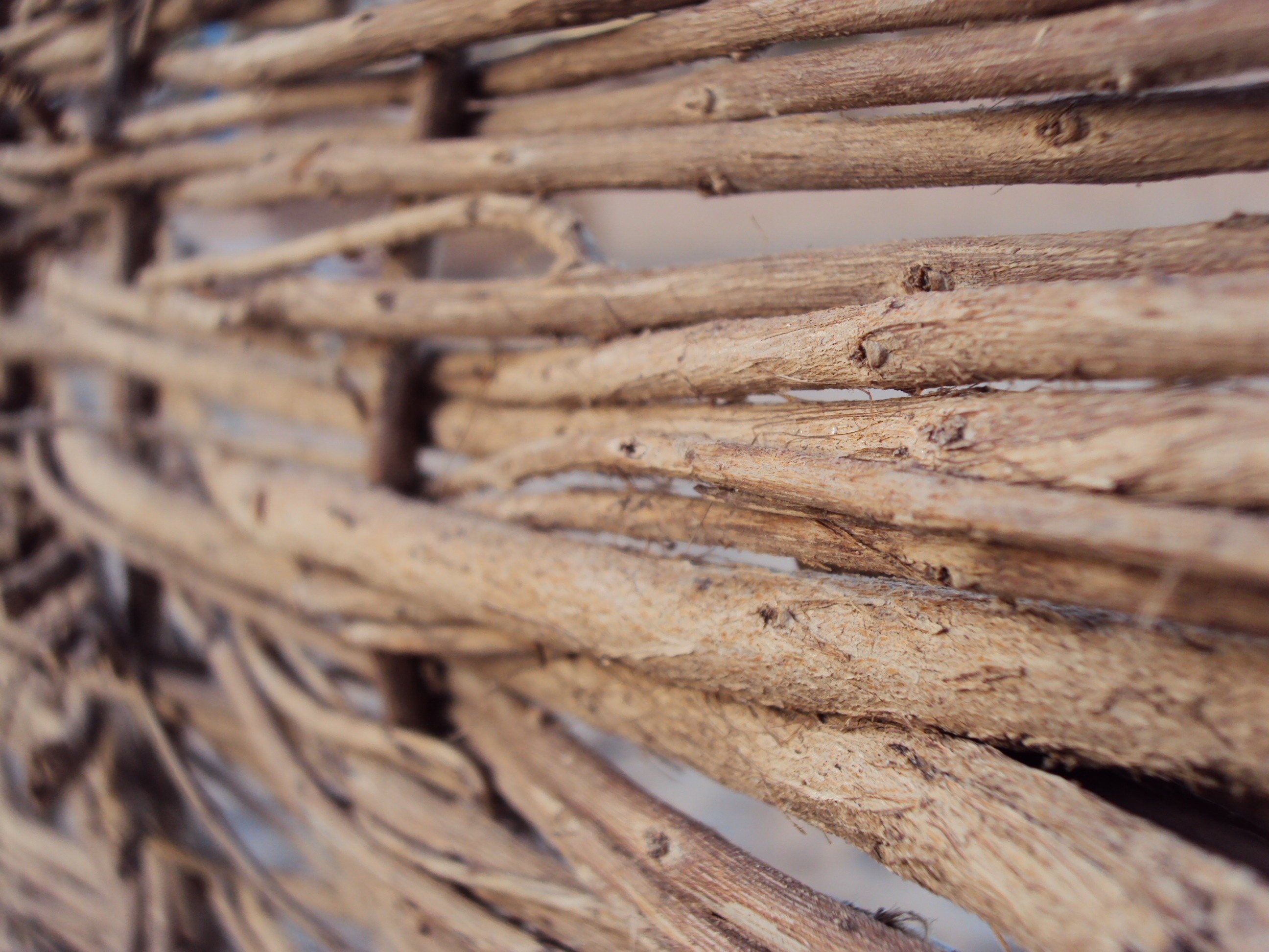 Wood Structure close-up free image download