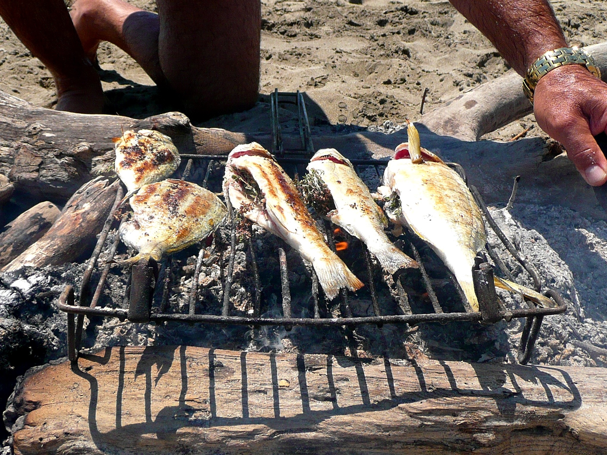 Grilled fish on a sunny beach free image download