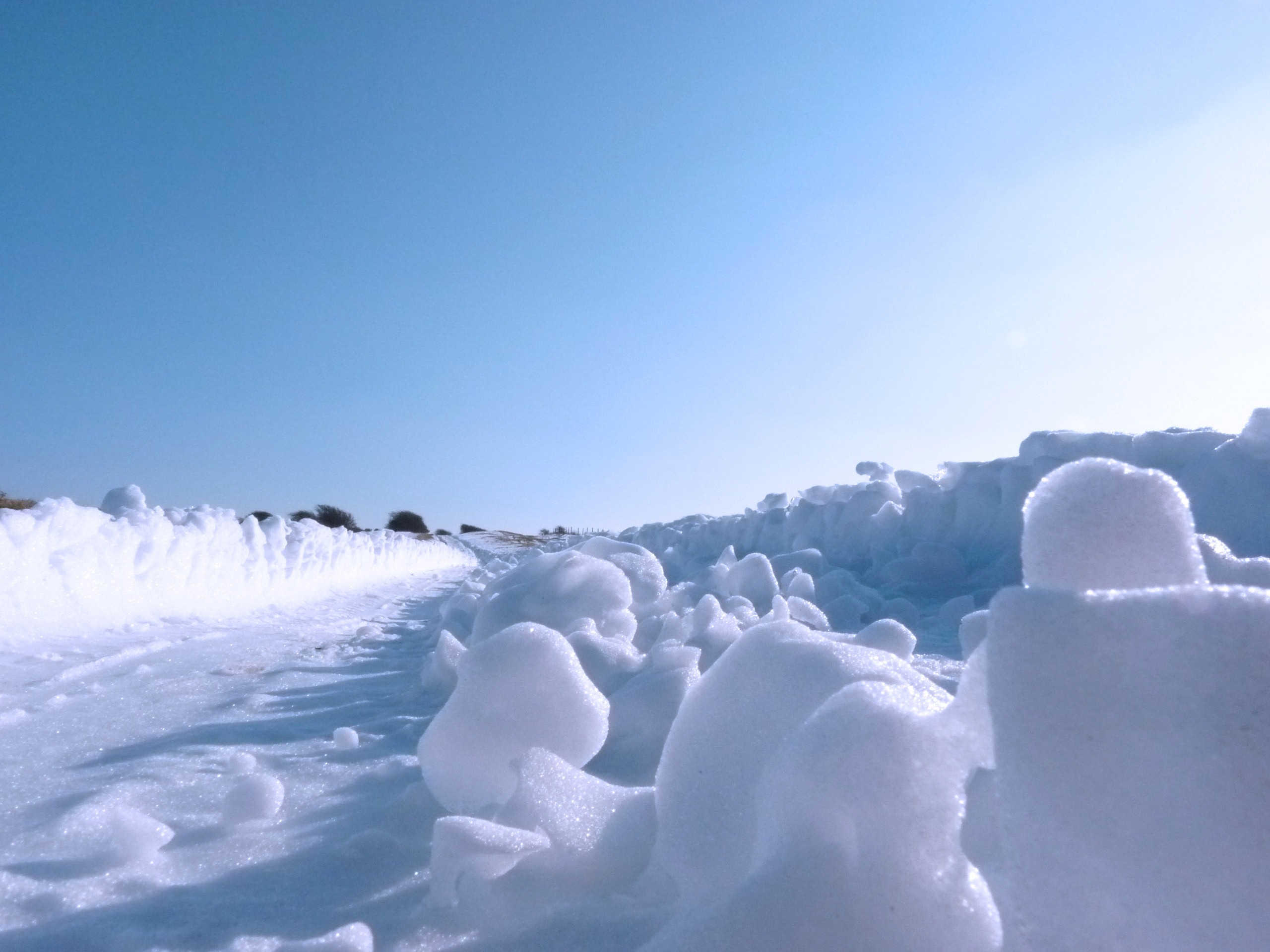 Snow Winter Cold free image download