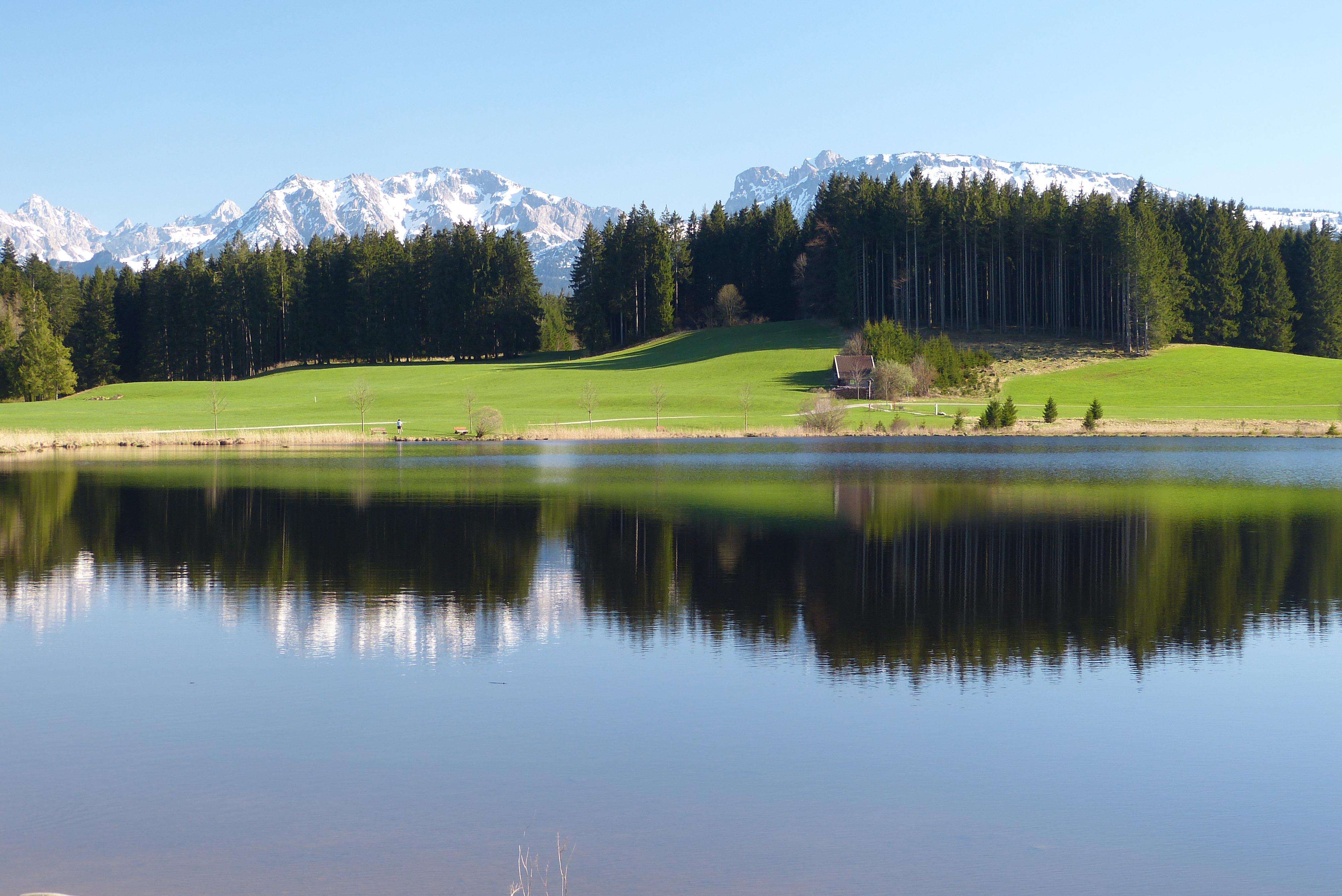 Lake in picturesque landscapes in Allgau free image download