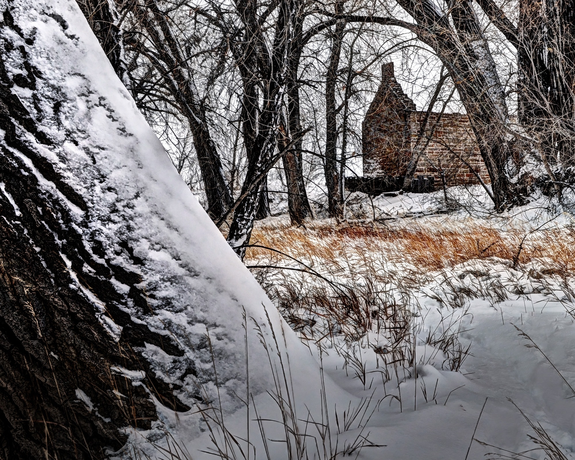 Robert Strauss Cabin Fort Collins free image download