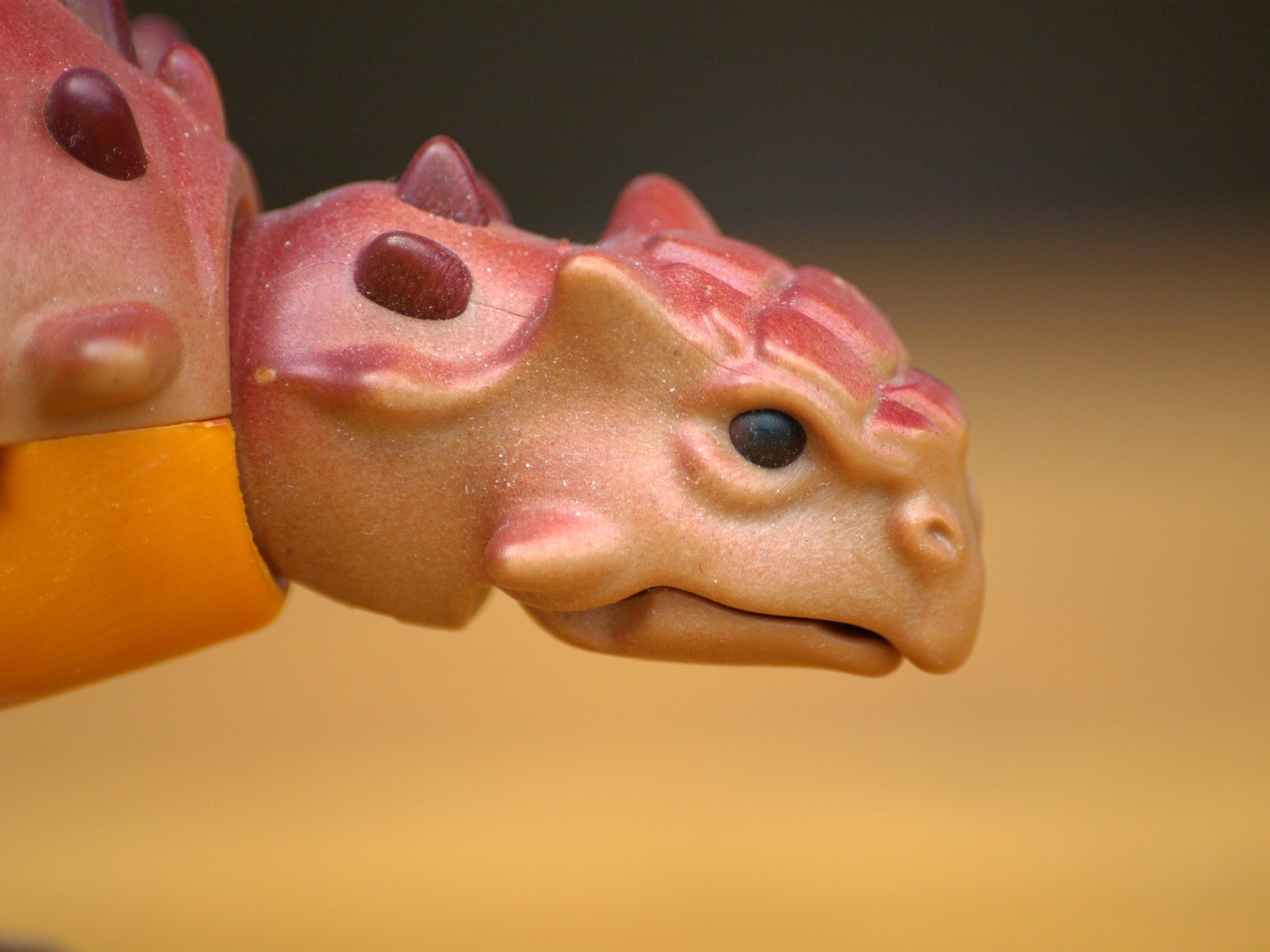 Ancylosaurus Dinosaur Dino free image download