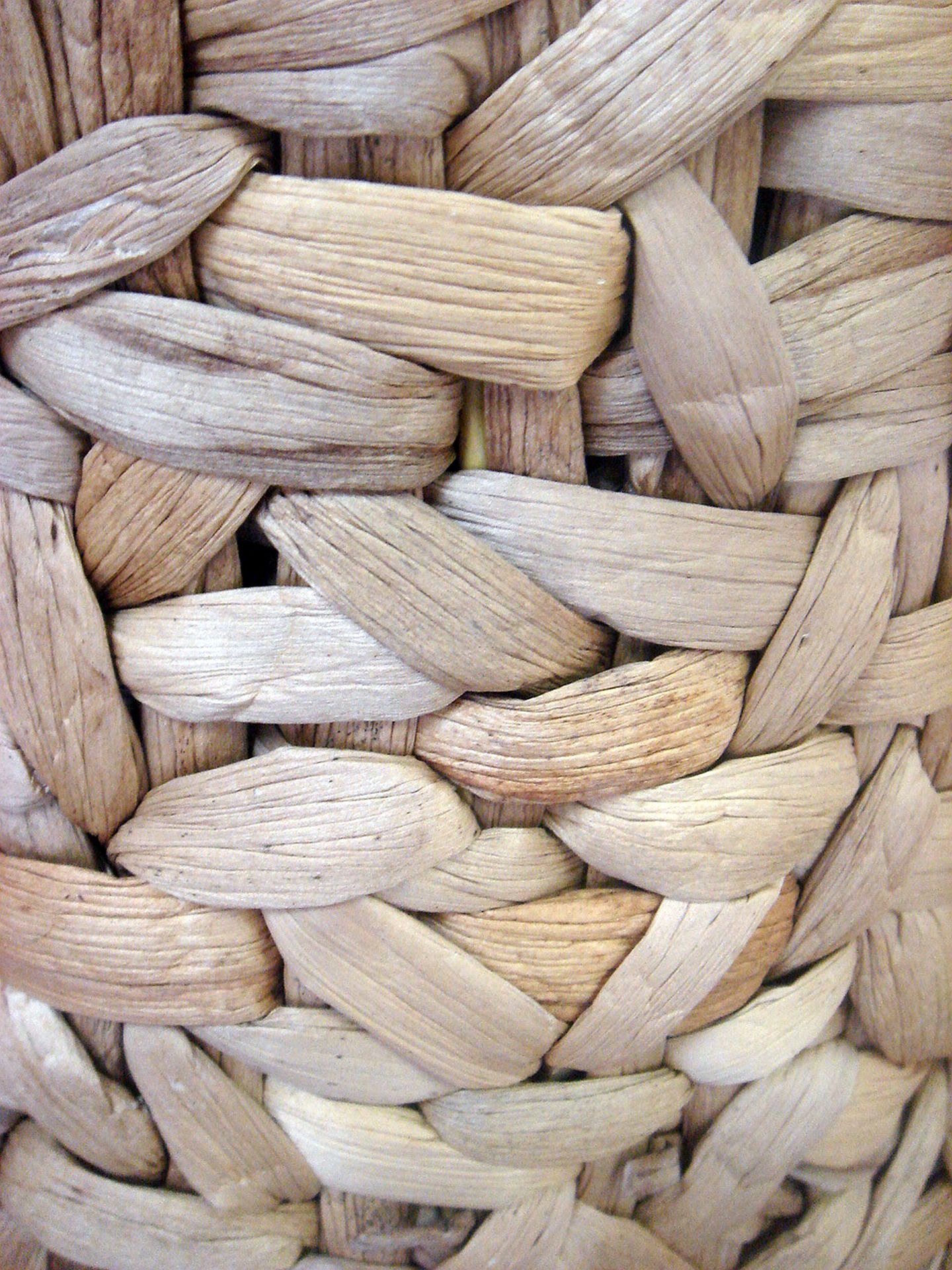 Dry Tangled Mosaic free image download