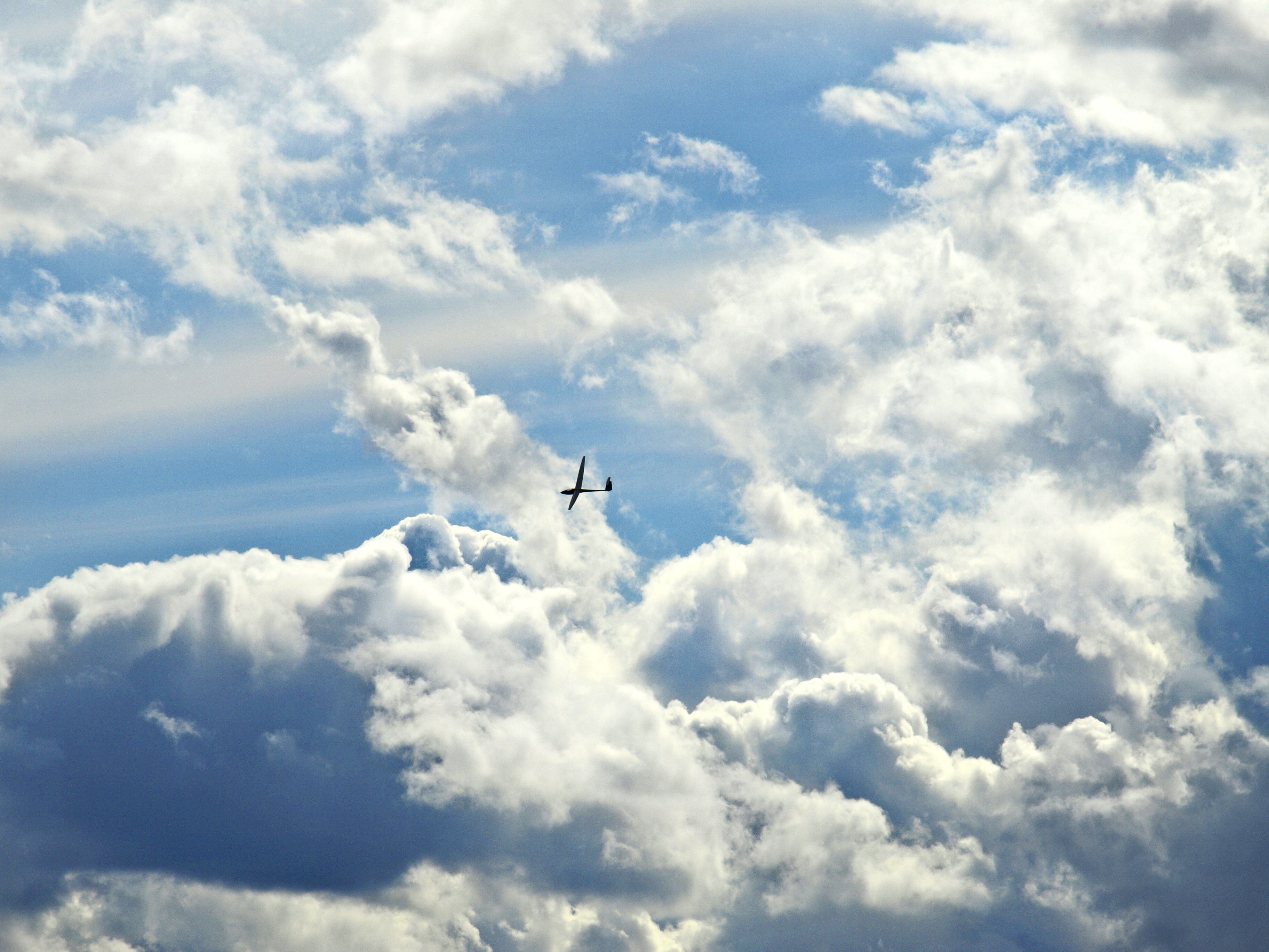 Selgelflieger Glider Aircraft on cloudy sky free image download