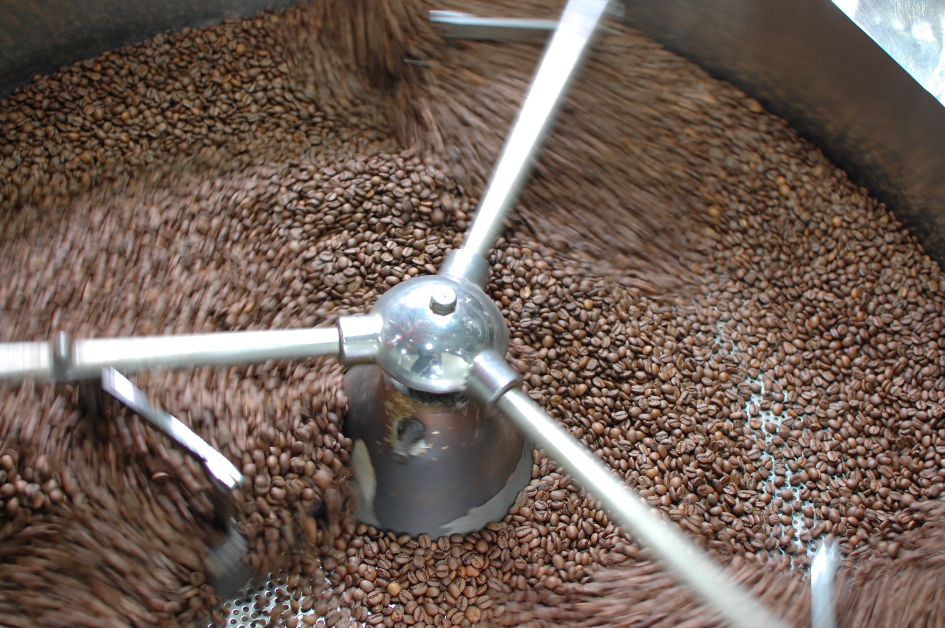Coffee bean processing free image download