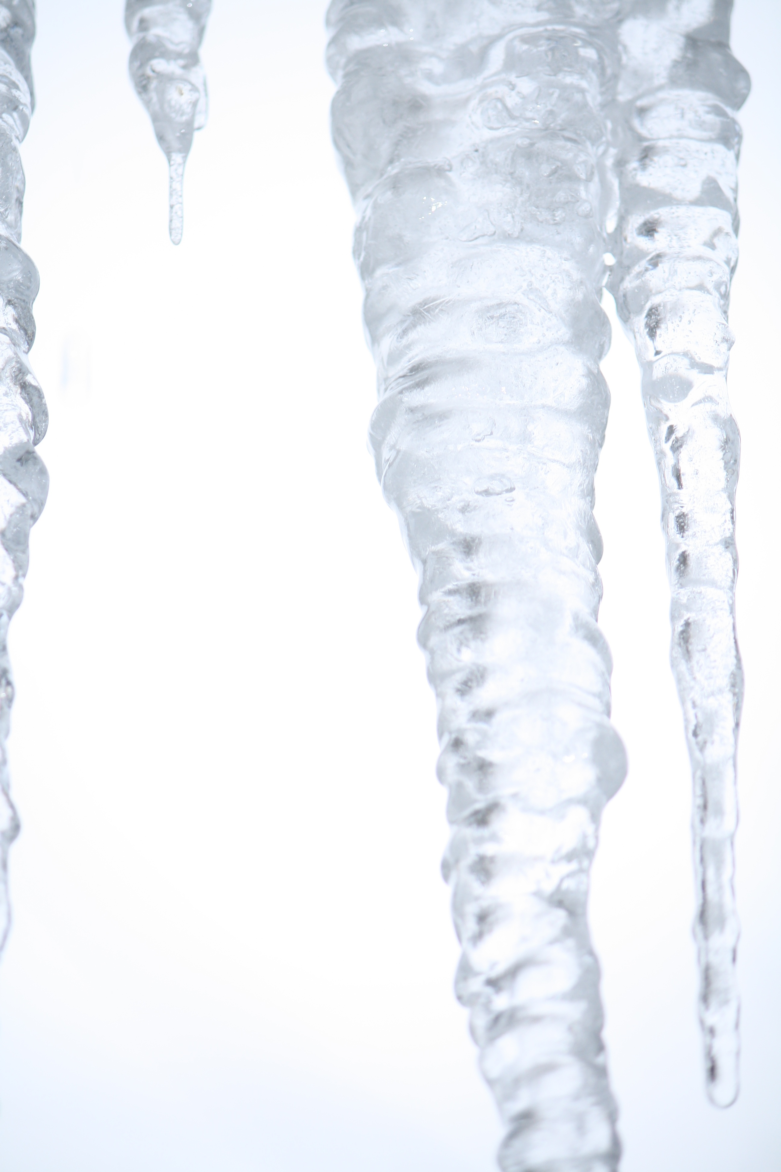 Winter Icicles frozen free image download