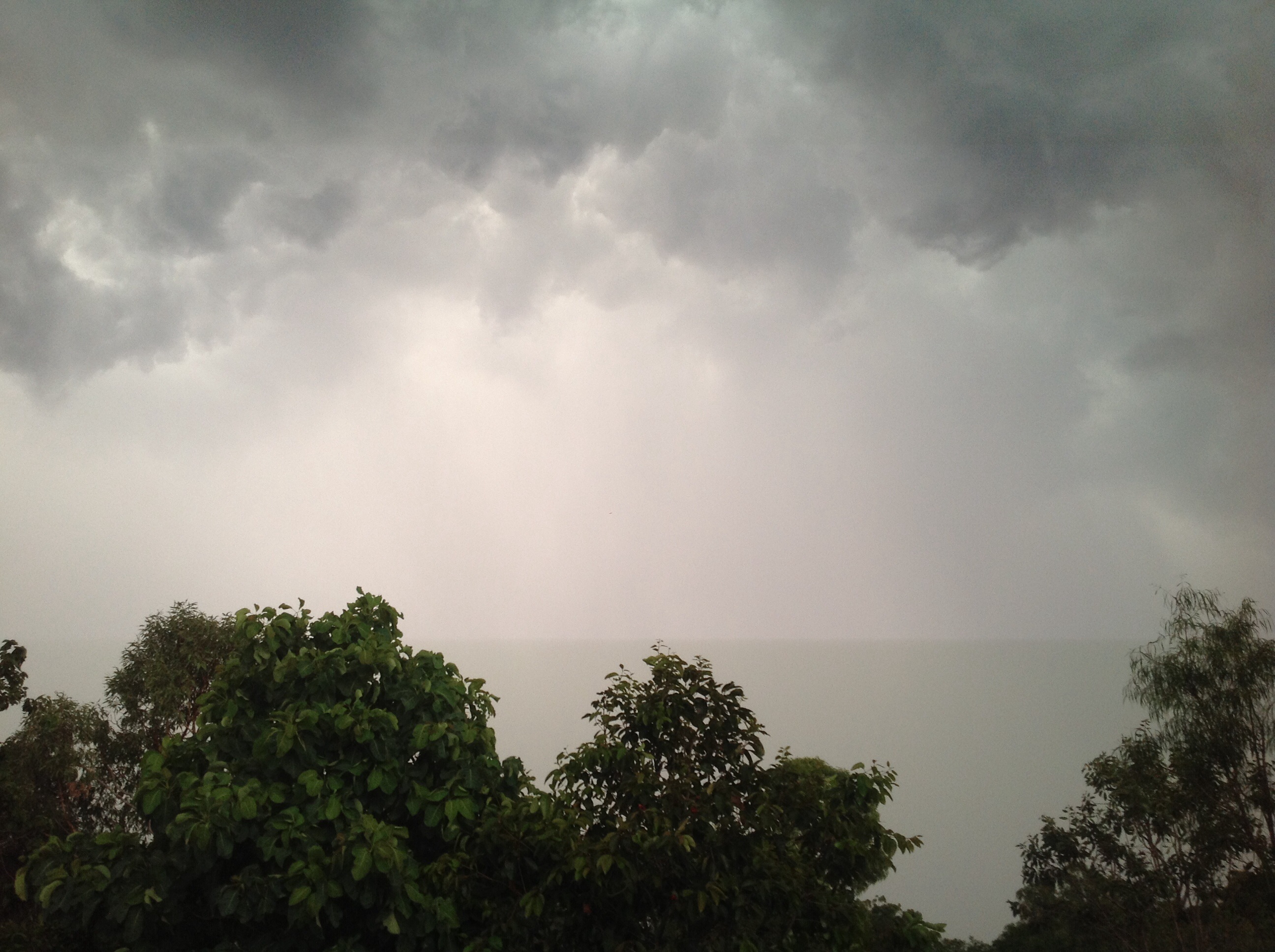 Rain Tropical Storm free image download