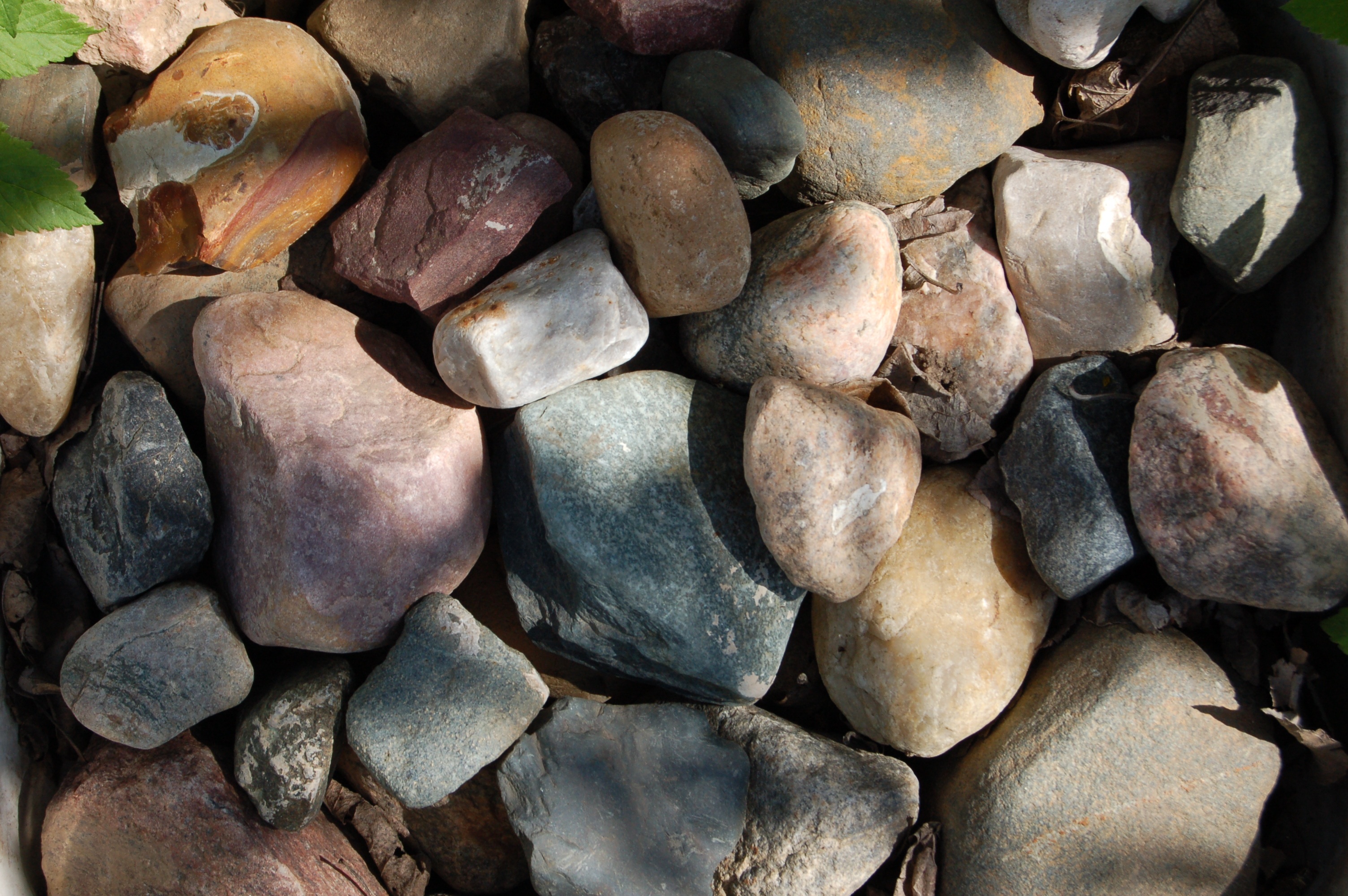 Stones Shadow Breed free image download