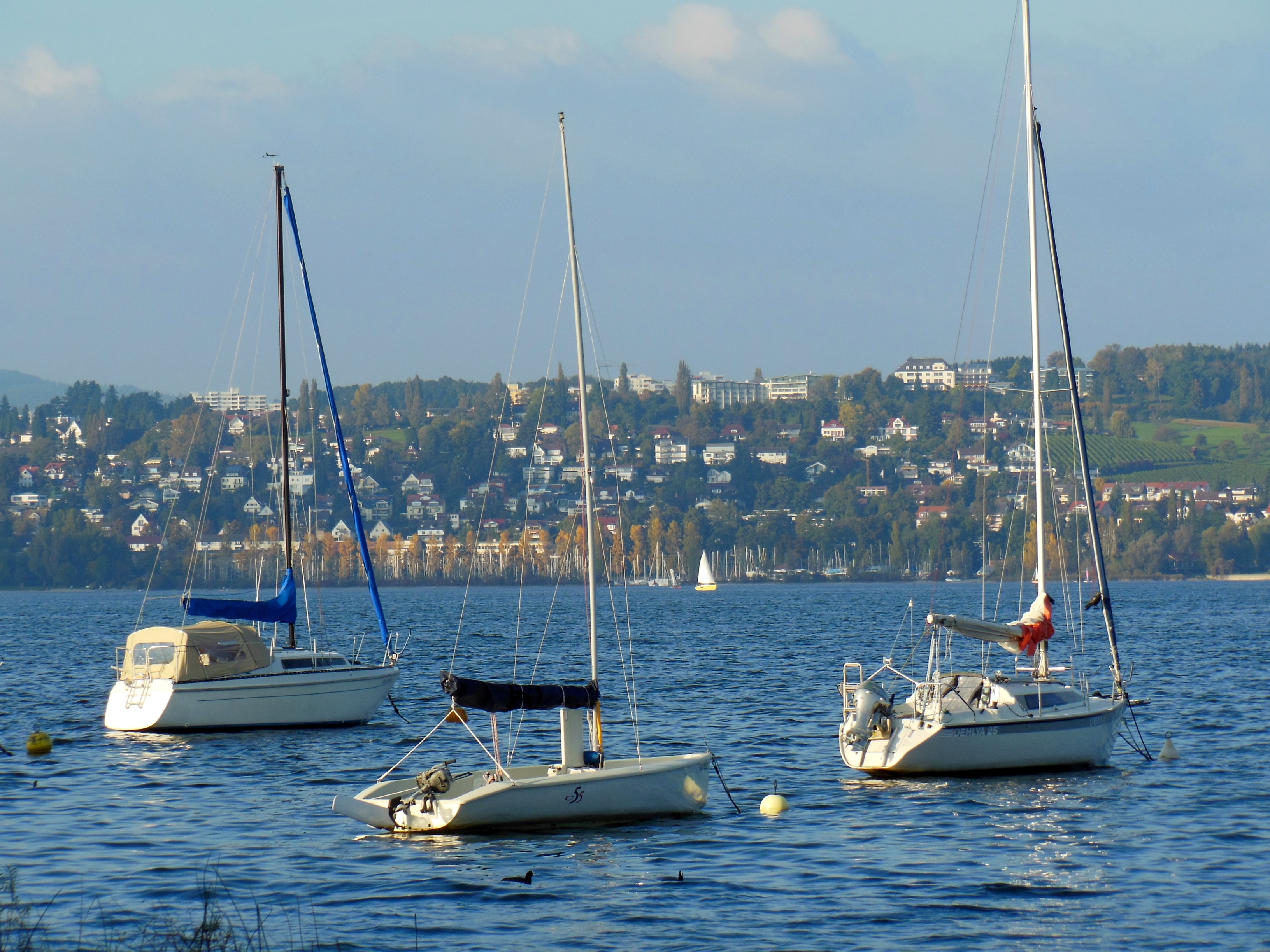 Boats Lake Constance Water Sailing free image download
