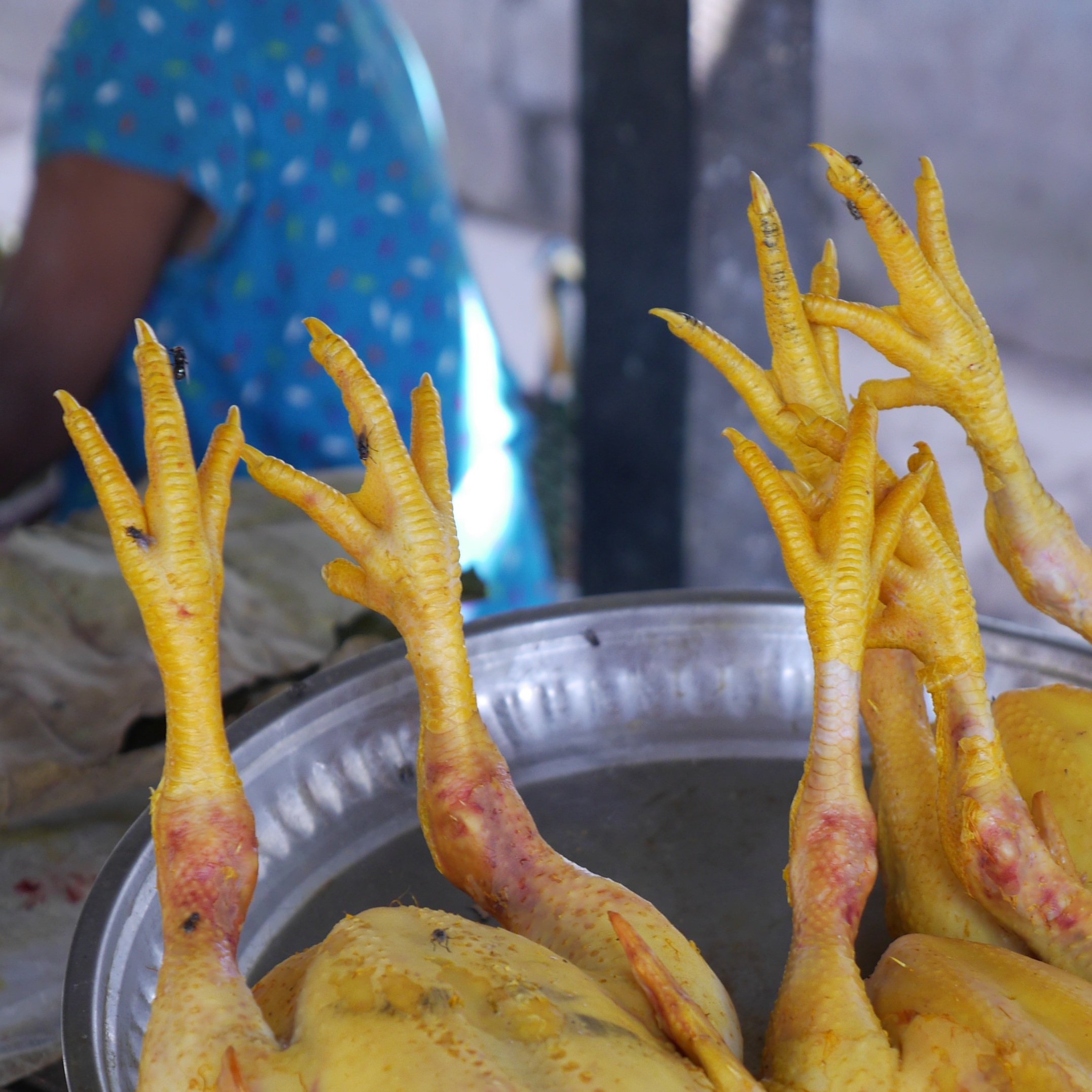 Chicken Claw Boiling Fowl free image download