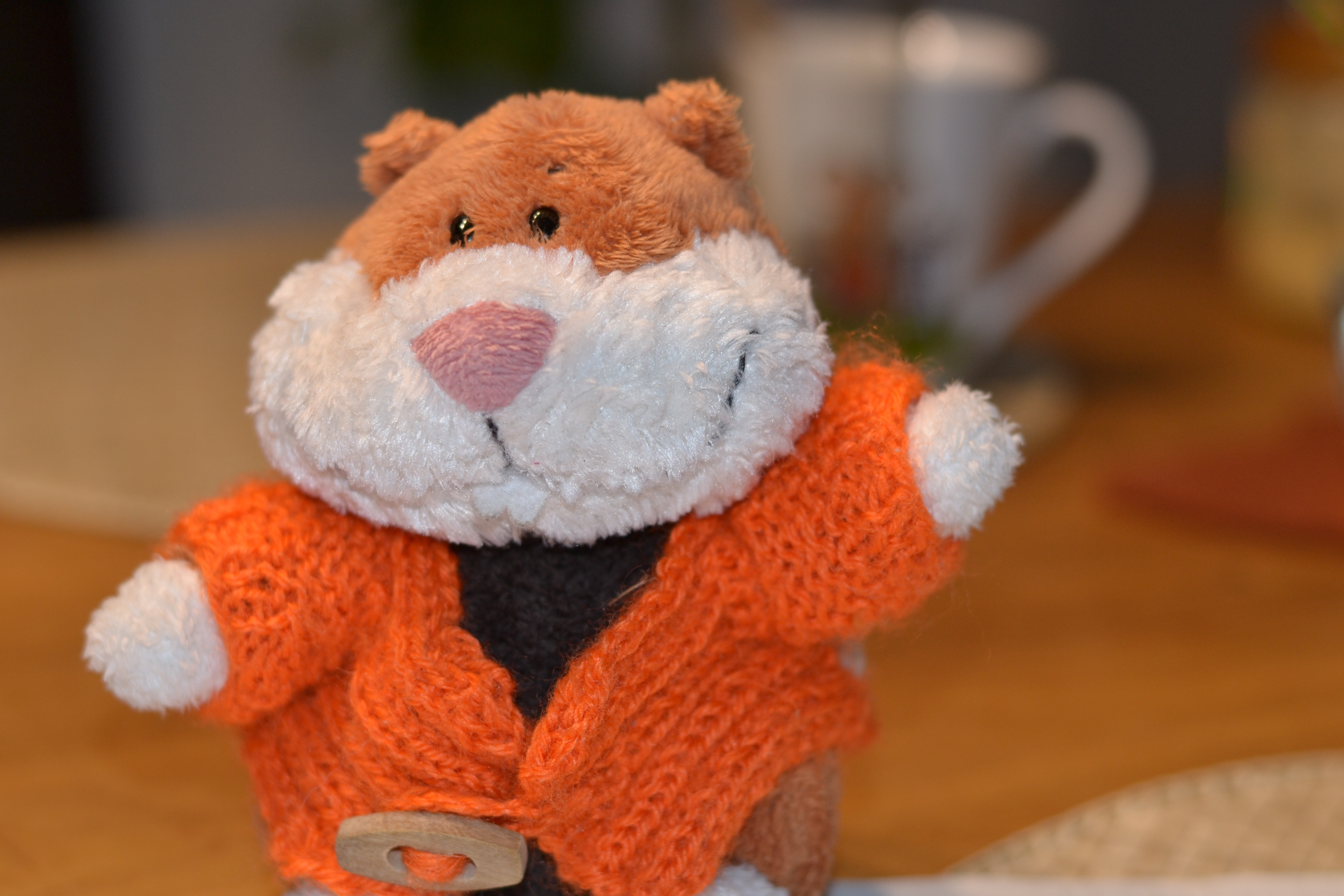 Hamster Orange Wave Teddy free image download