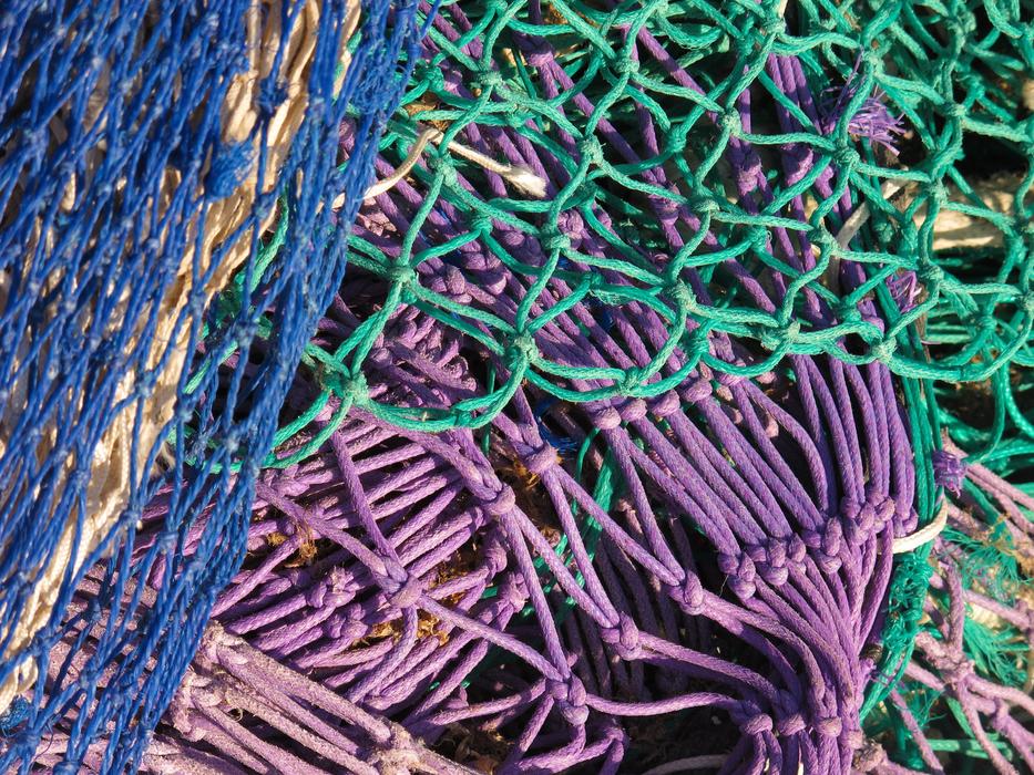 Fishing Net Web free image download