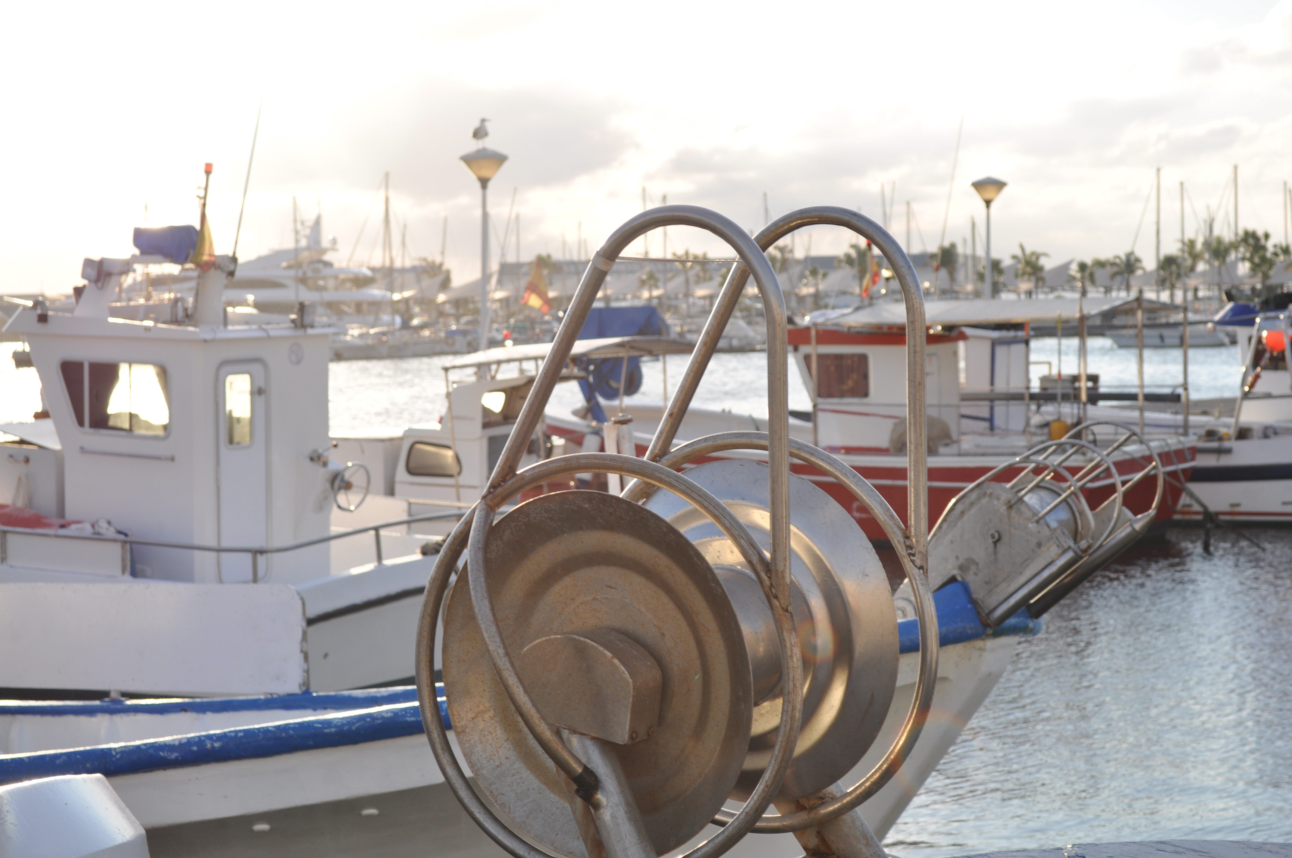 Port Fishing free image download