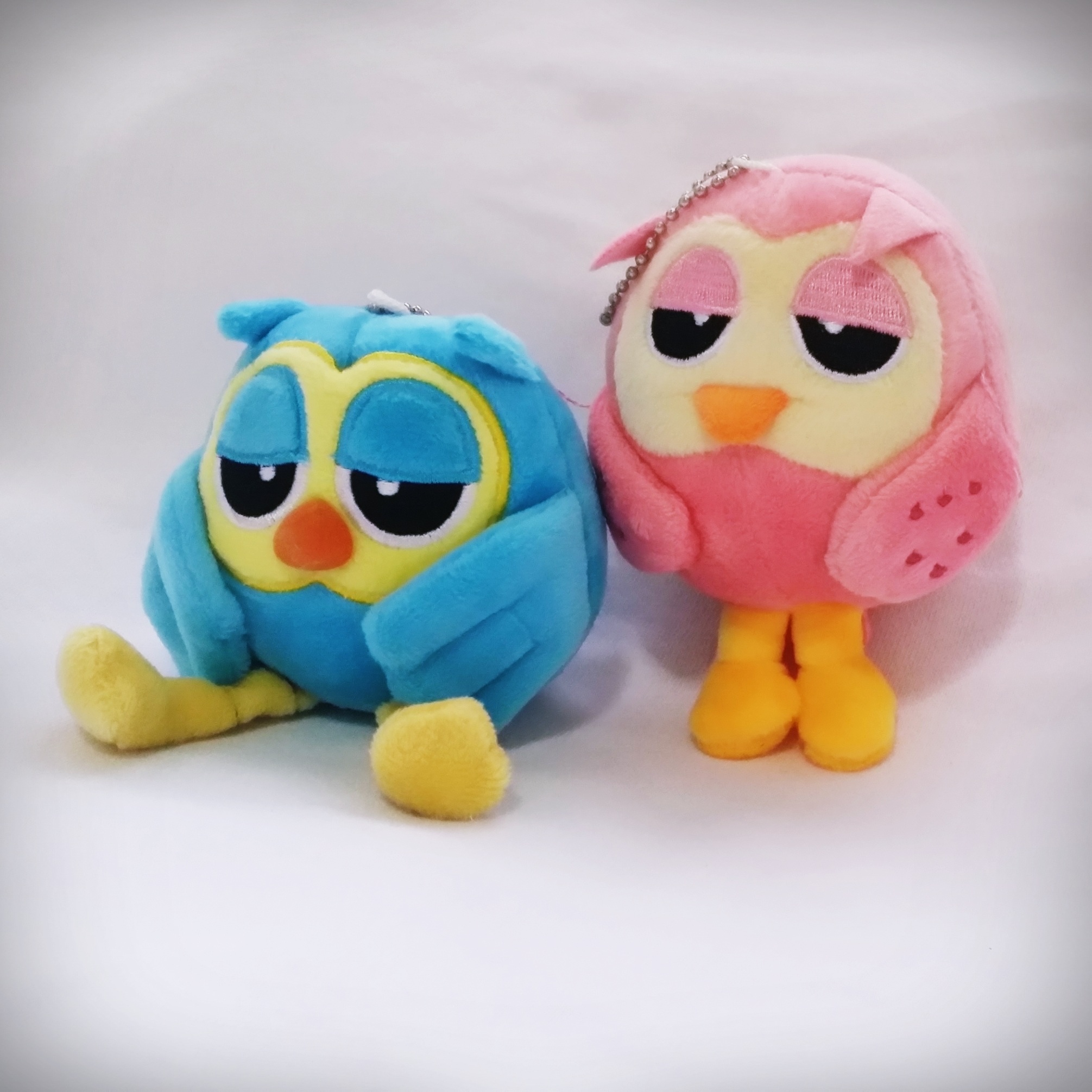 Owl Korean free image download